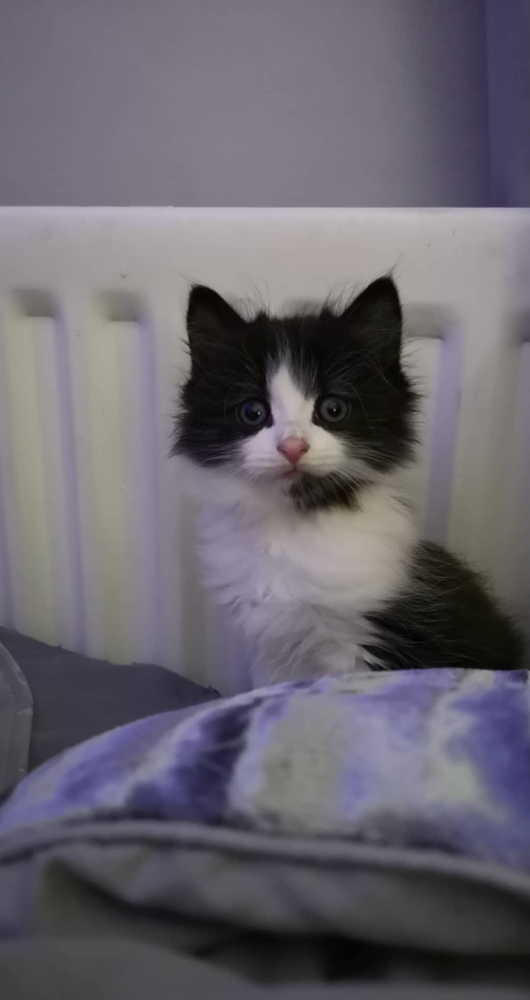 Any names for this princess? | Scrolller