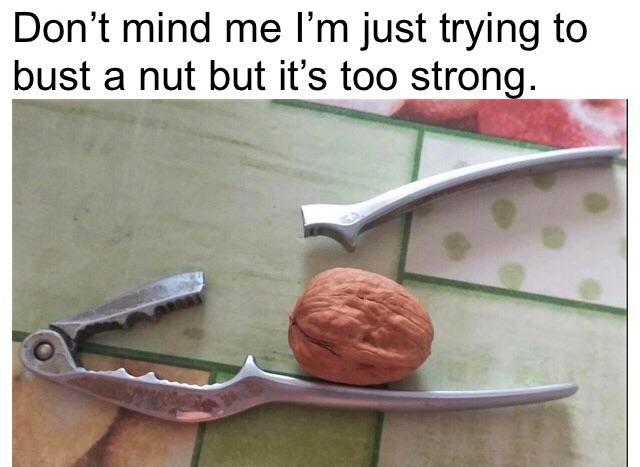 Any tips for busting nuts? | Scrolller