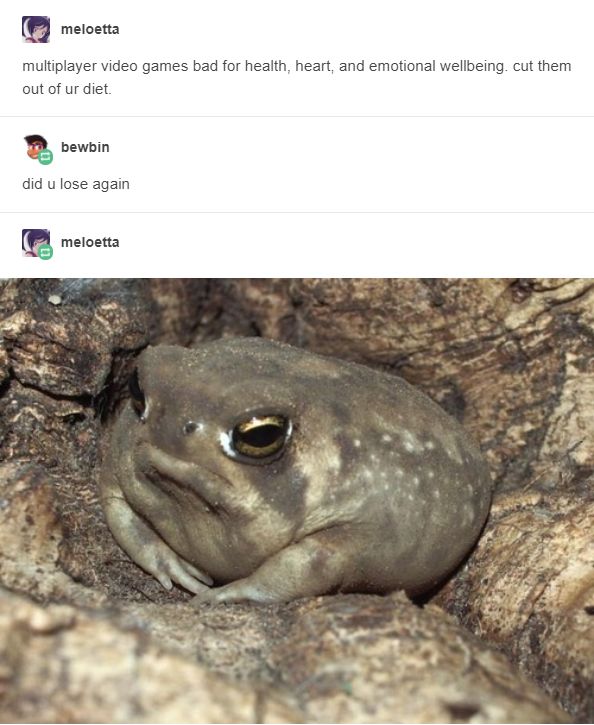 Anyone got the picture of the frog? | Scrolller