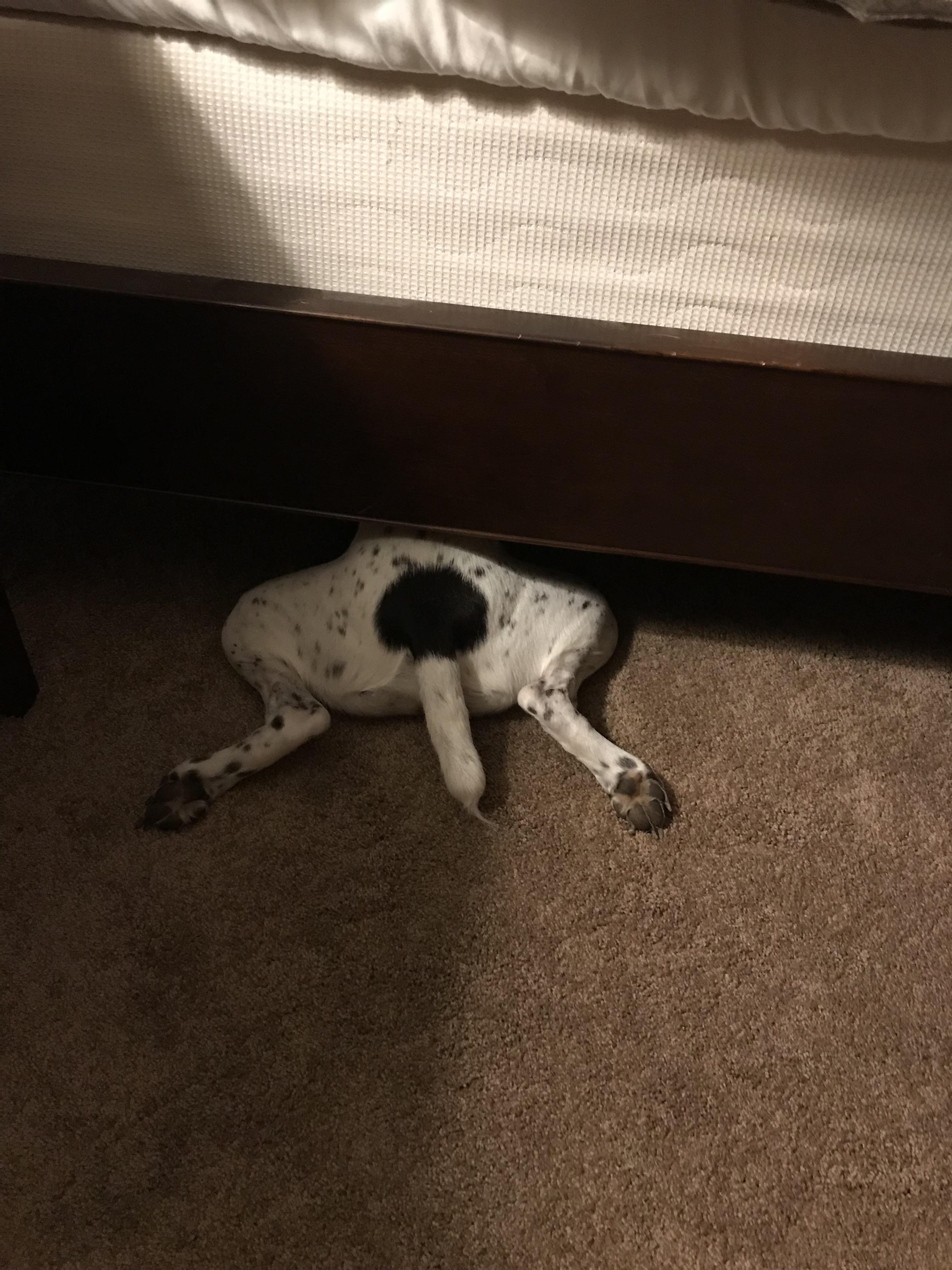 Anyone seen the other half of my GSP? | Scrolller