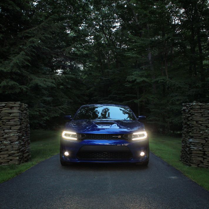 Apex Predator. My '19 Scat. | Scrolller