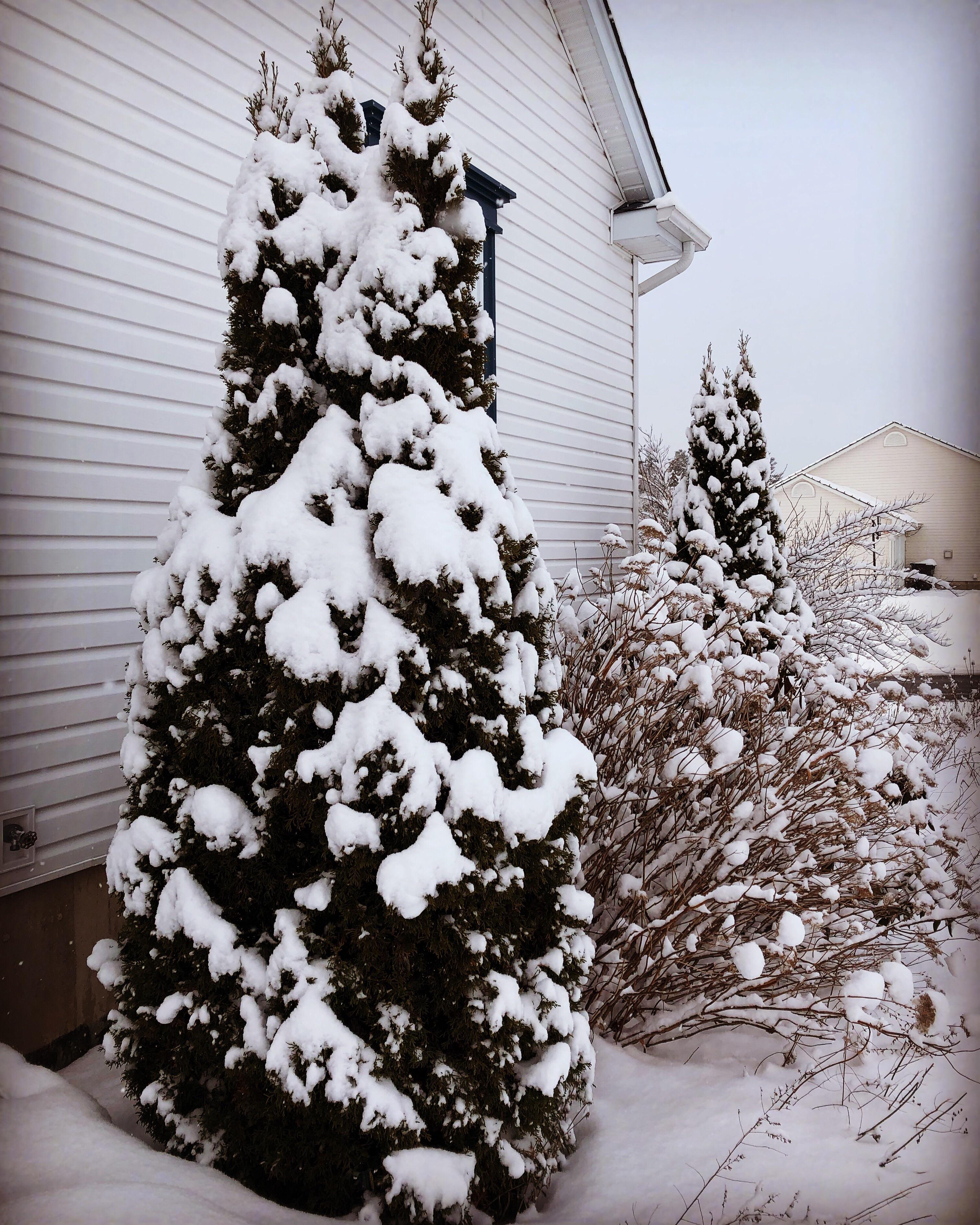 April Snowfall ️ | Scrolller