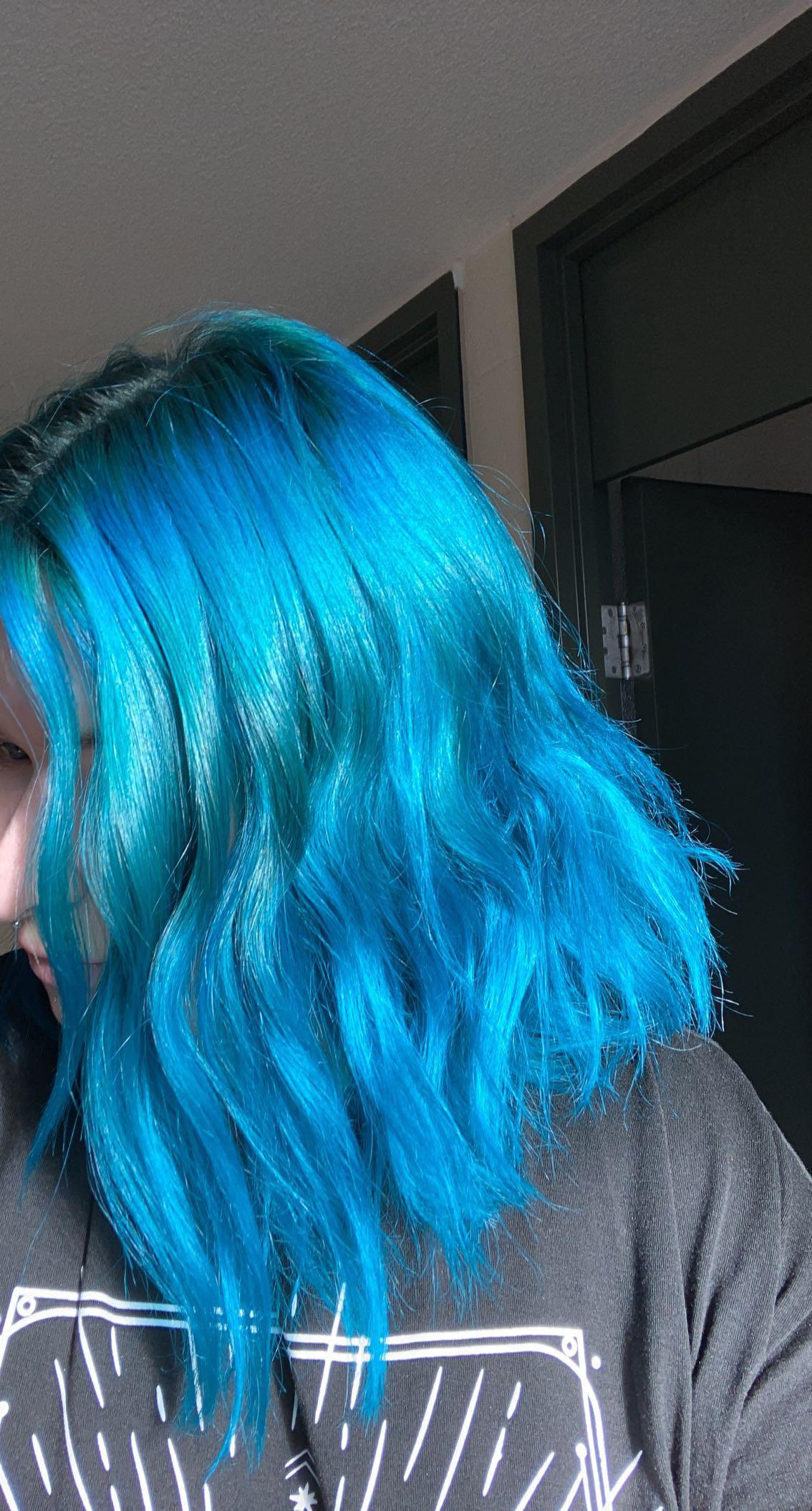 Arctic Fox Aquamarine! | Scrolller