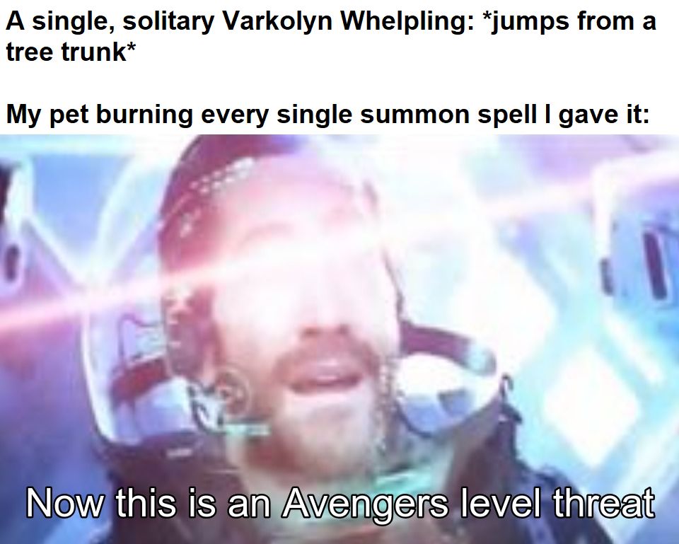 Are memes allowed? | Scrolller