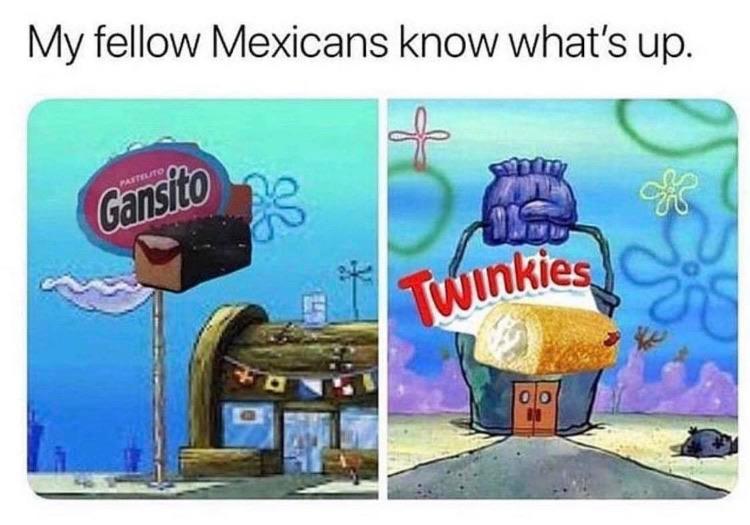 are memes allowed here? | Scrolller