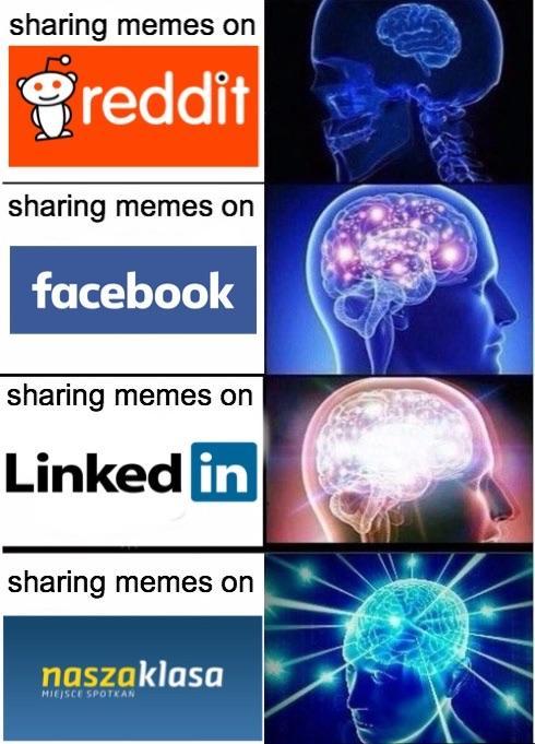 Are memes allowed here? | Scrolller