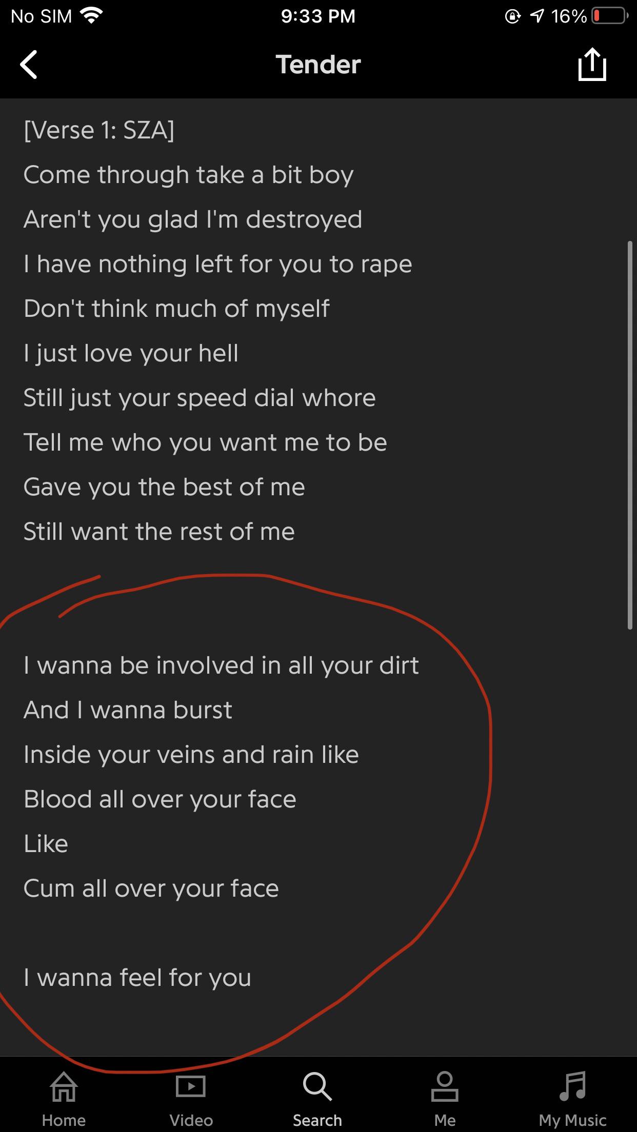 Are the lyrics in the red circle confirmed and if so where were they confirmed? | Scrolller