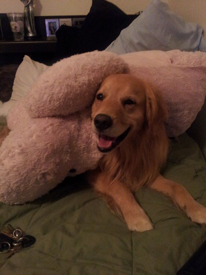 Are we going somewhere!? | Scrolller