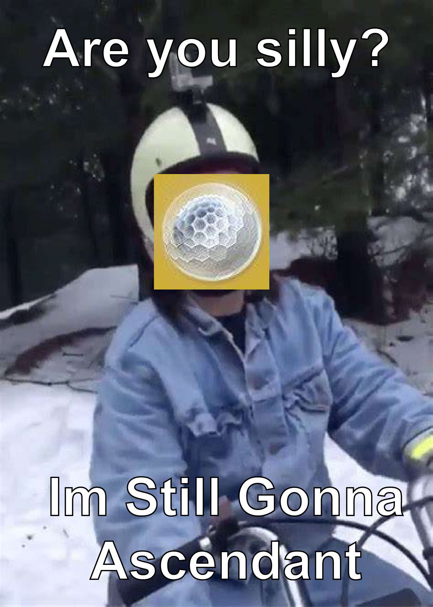 Are you silly? I'm still gonna Ascendant | Scrolller