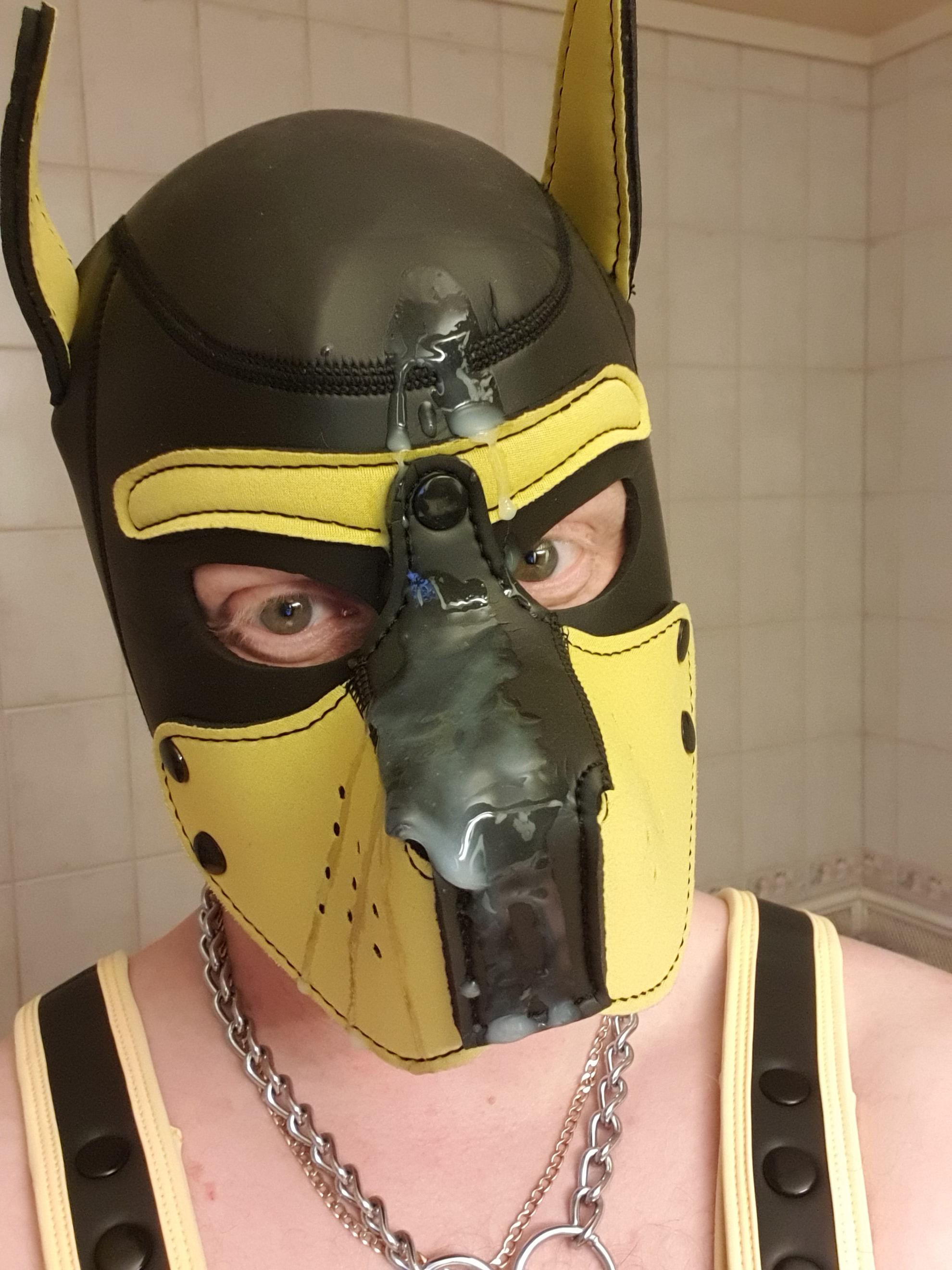 Arf. Bone leaked.. 👅 | Scrolller