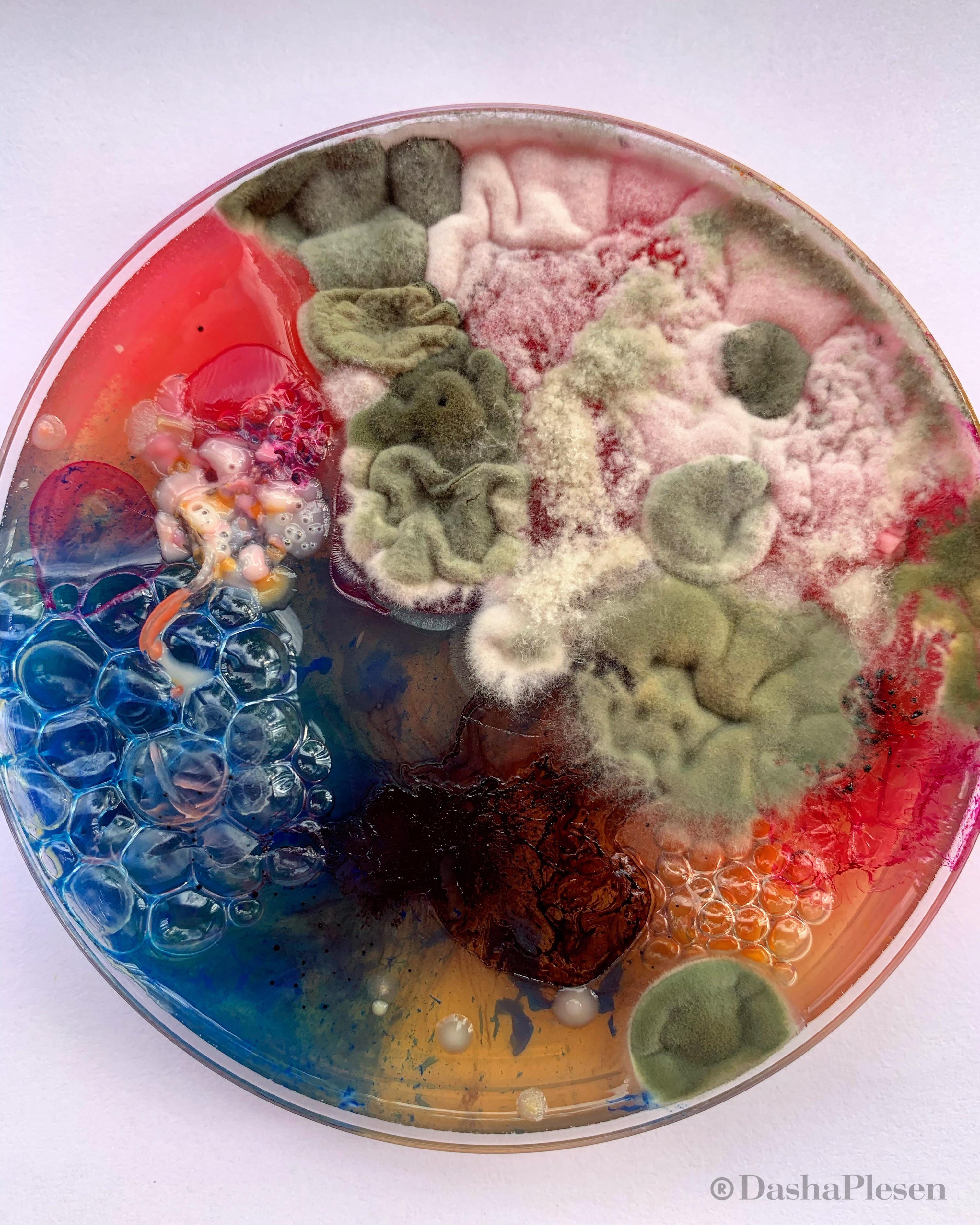 Art of contamination | Scrolller