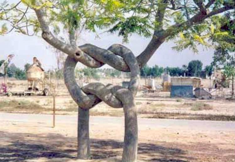 Artistic trees | Scrolller