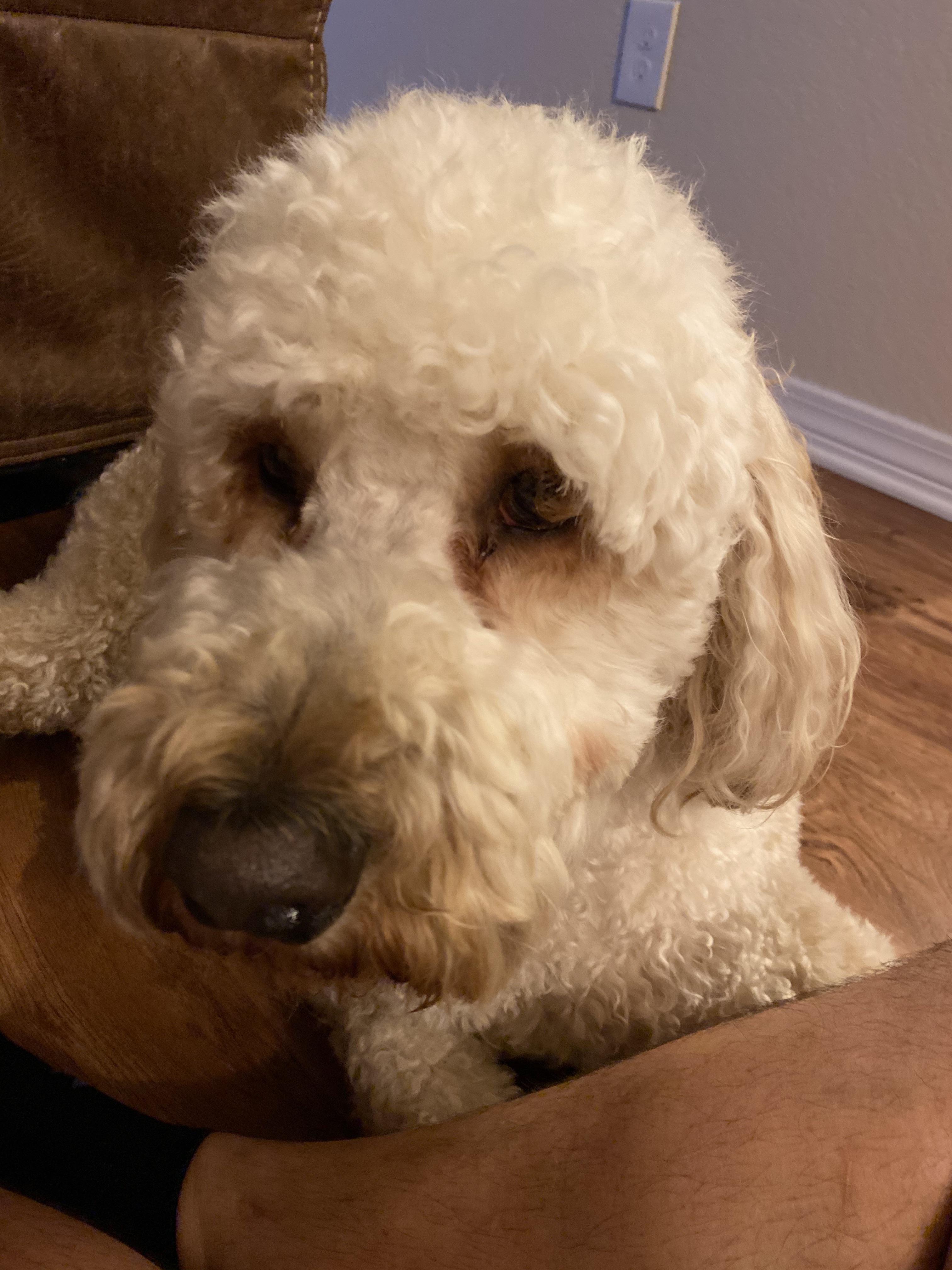 Aspiring Model | Scrolller