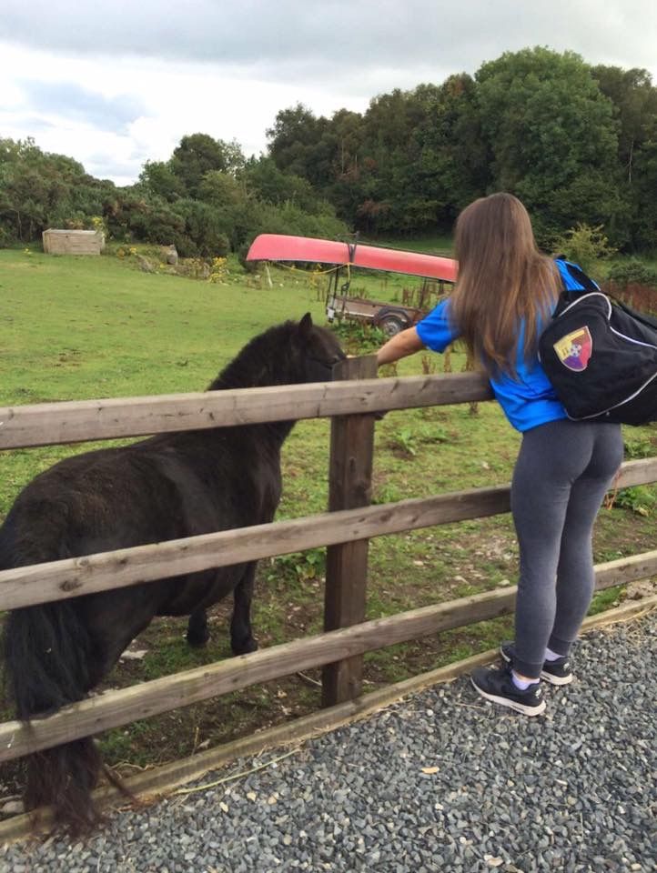 At the farm | Scrolller