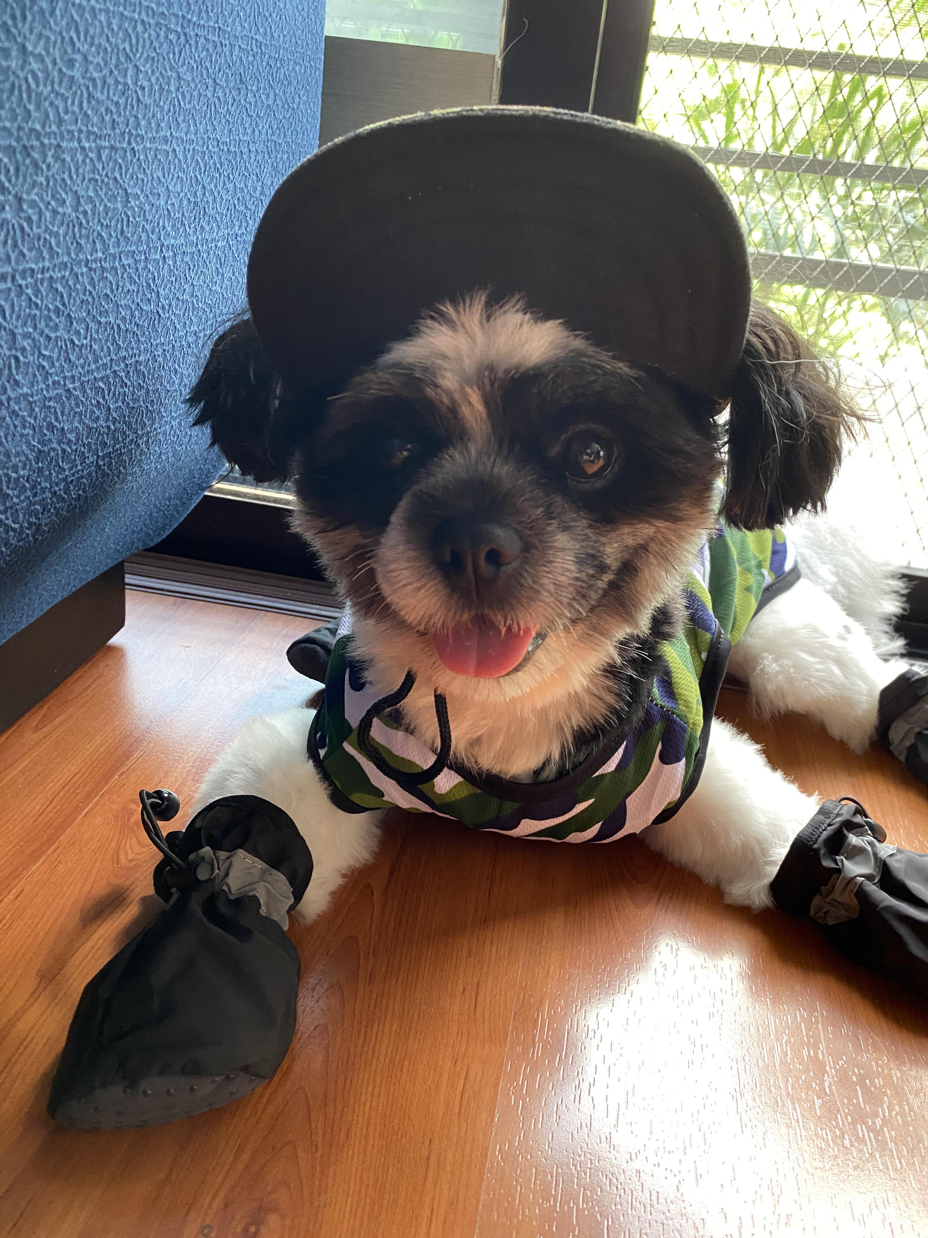 attention! | Scrolller