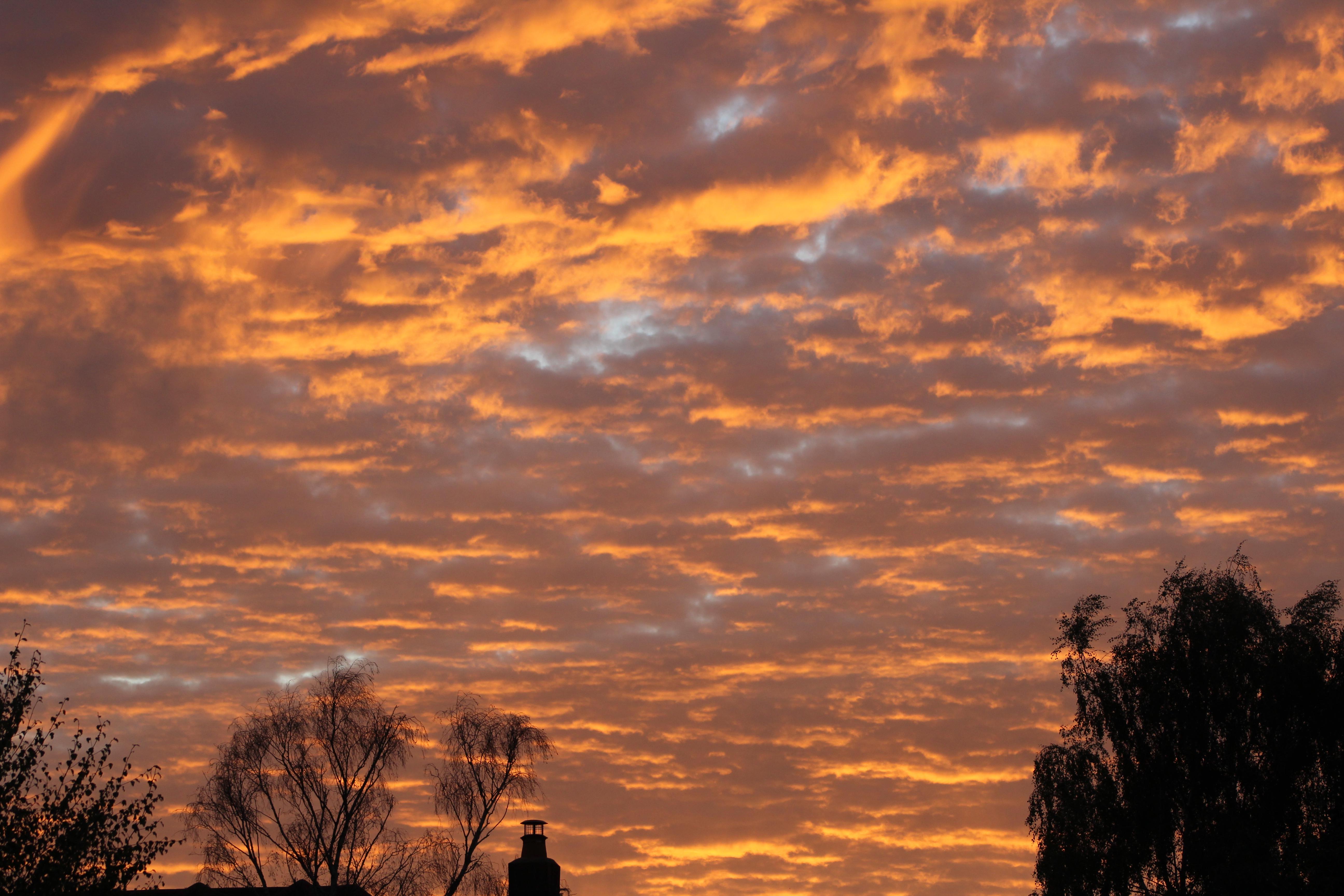 August 2020 - Kent, England :) | Scrolller