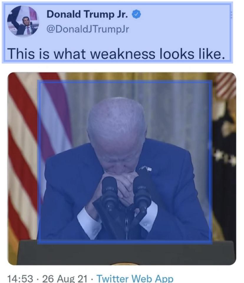 Authright at it again | Scrolller