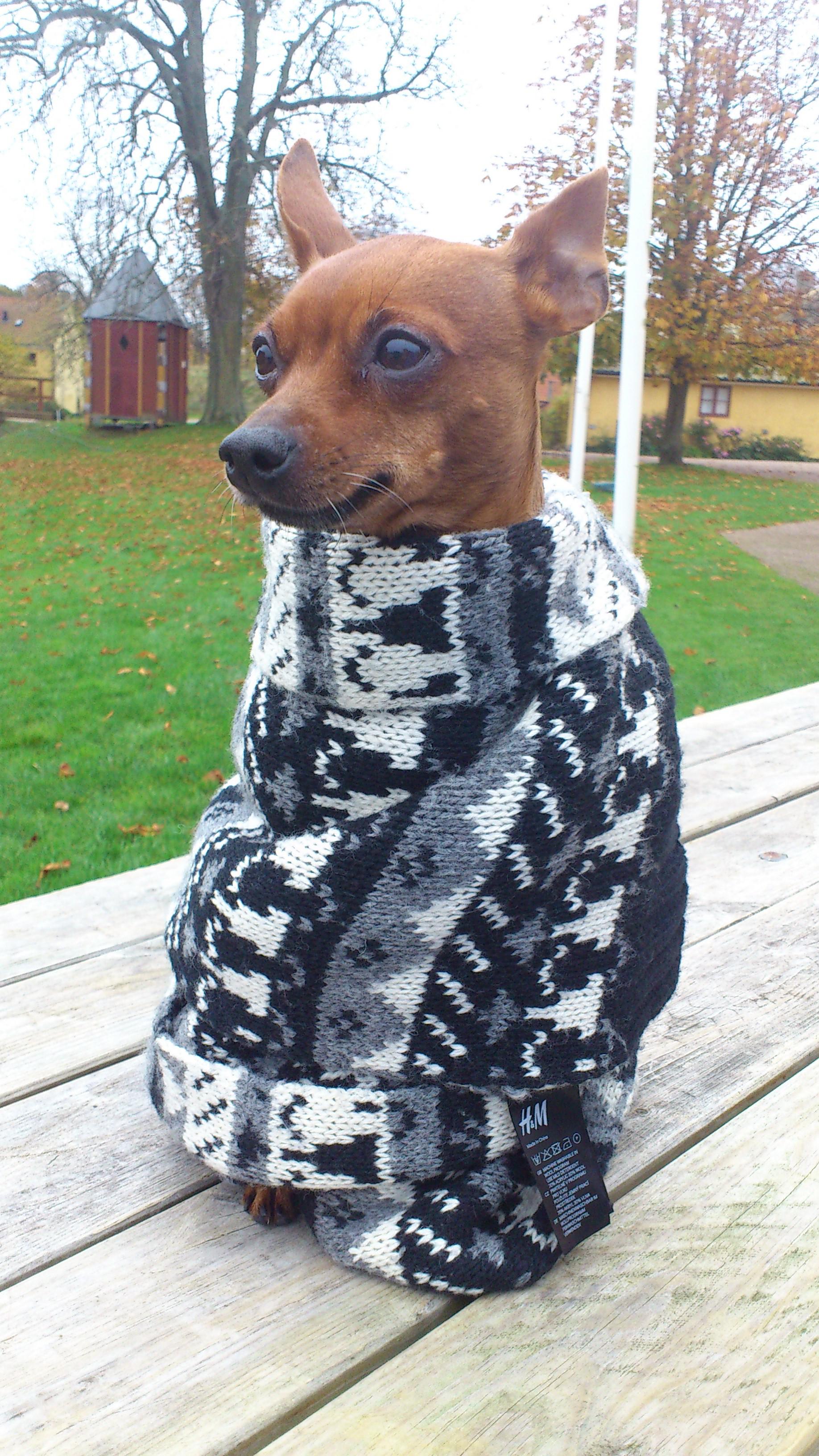 Autumn is here. | Scrolller