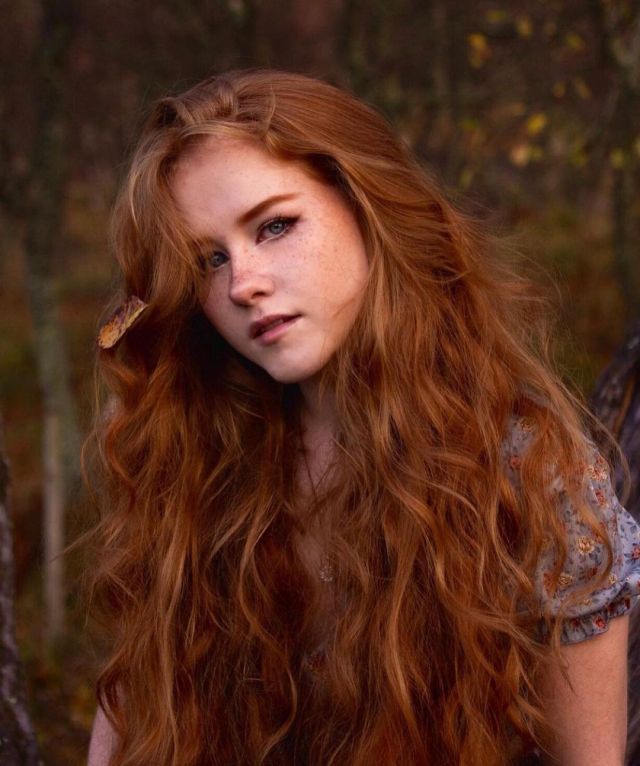 Autumn leaves | Scrolller