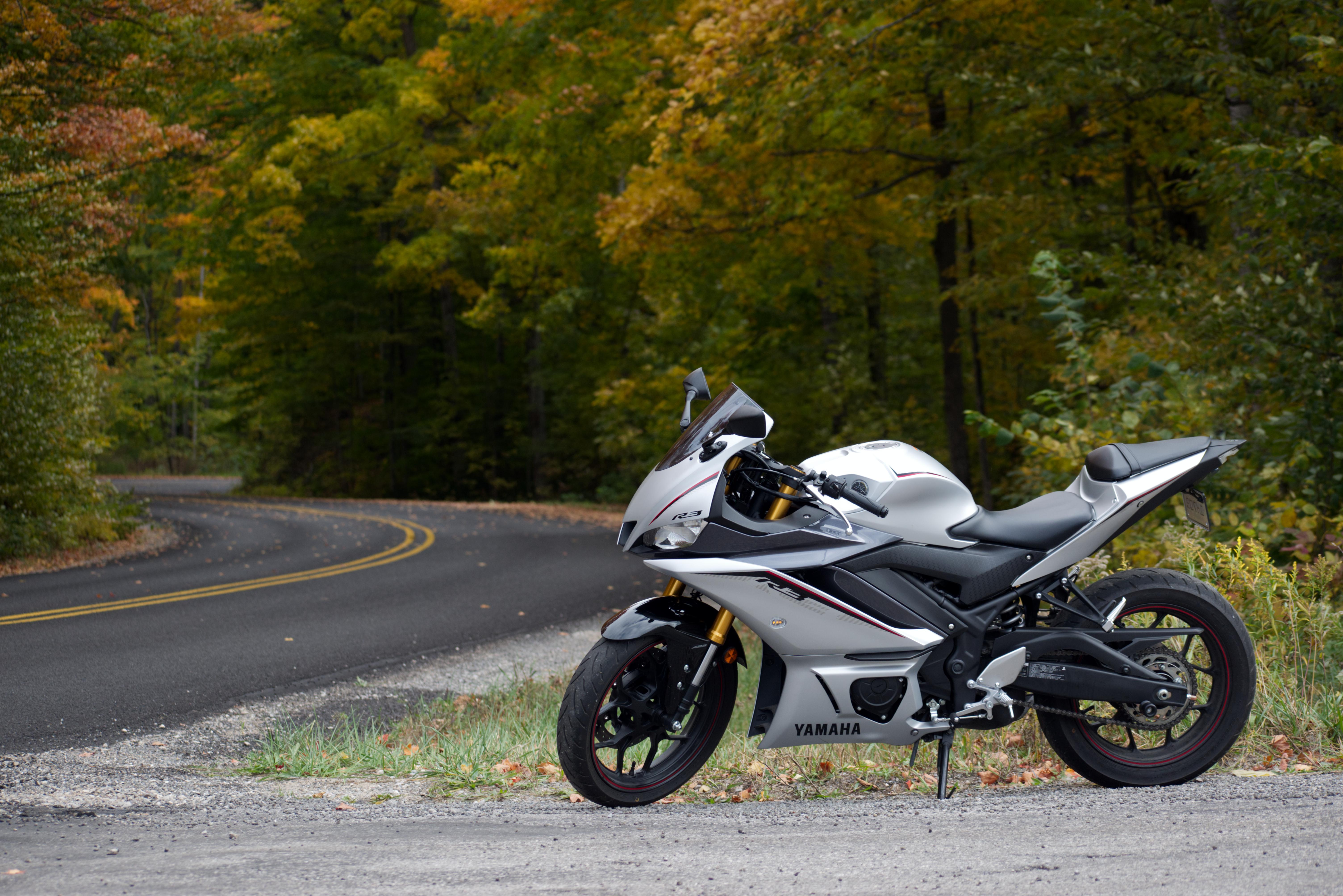 Autumn Ride | Scrolller