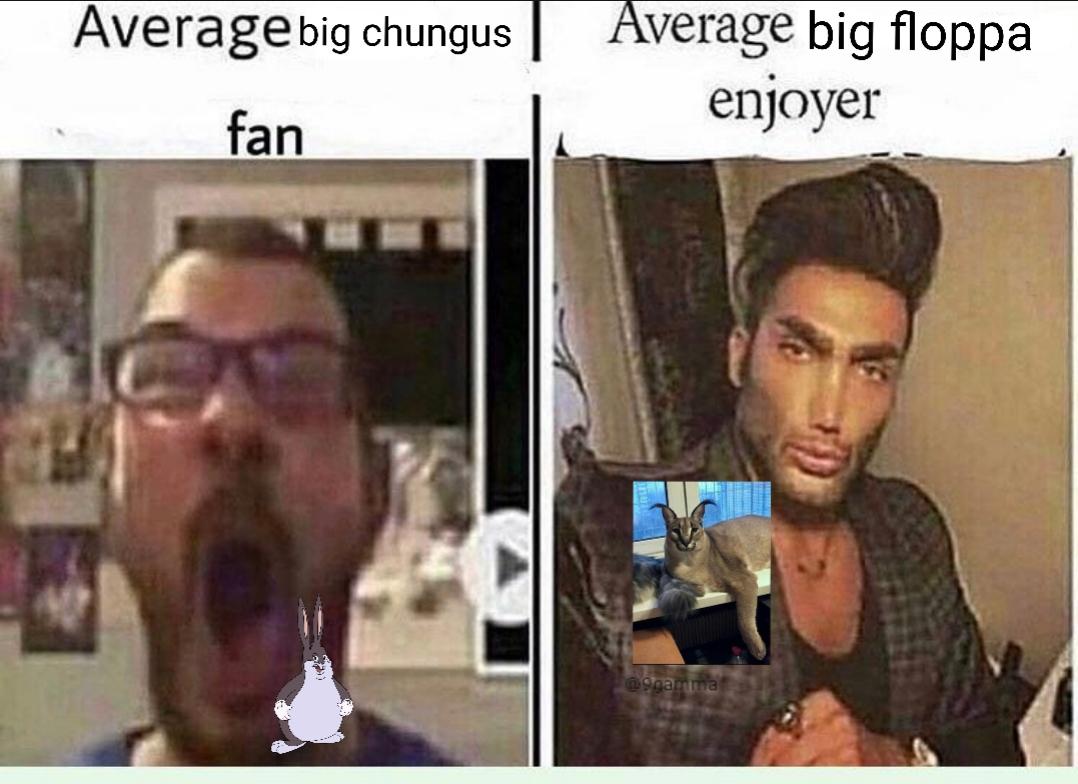 Average Floppa Enjoyer 💪 | Scrolller