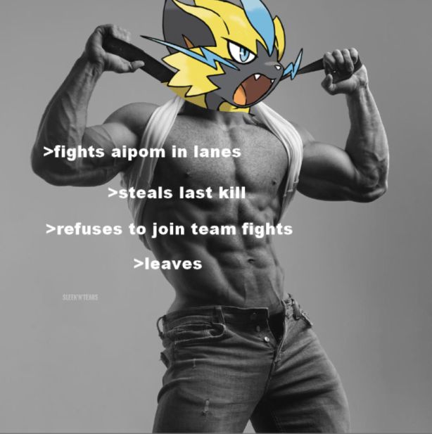 Average Zeraora Player in Ranked | Scrolller