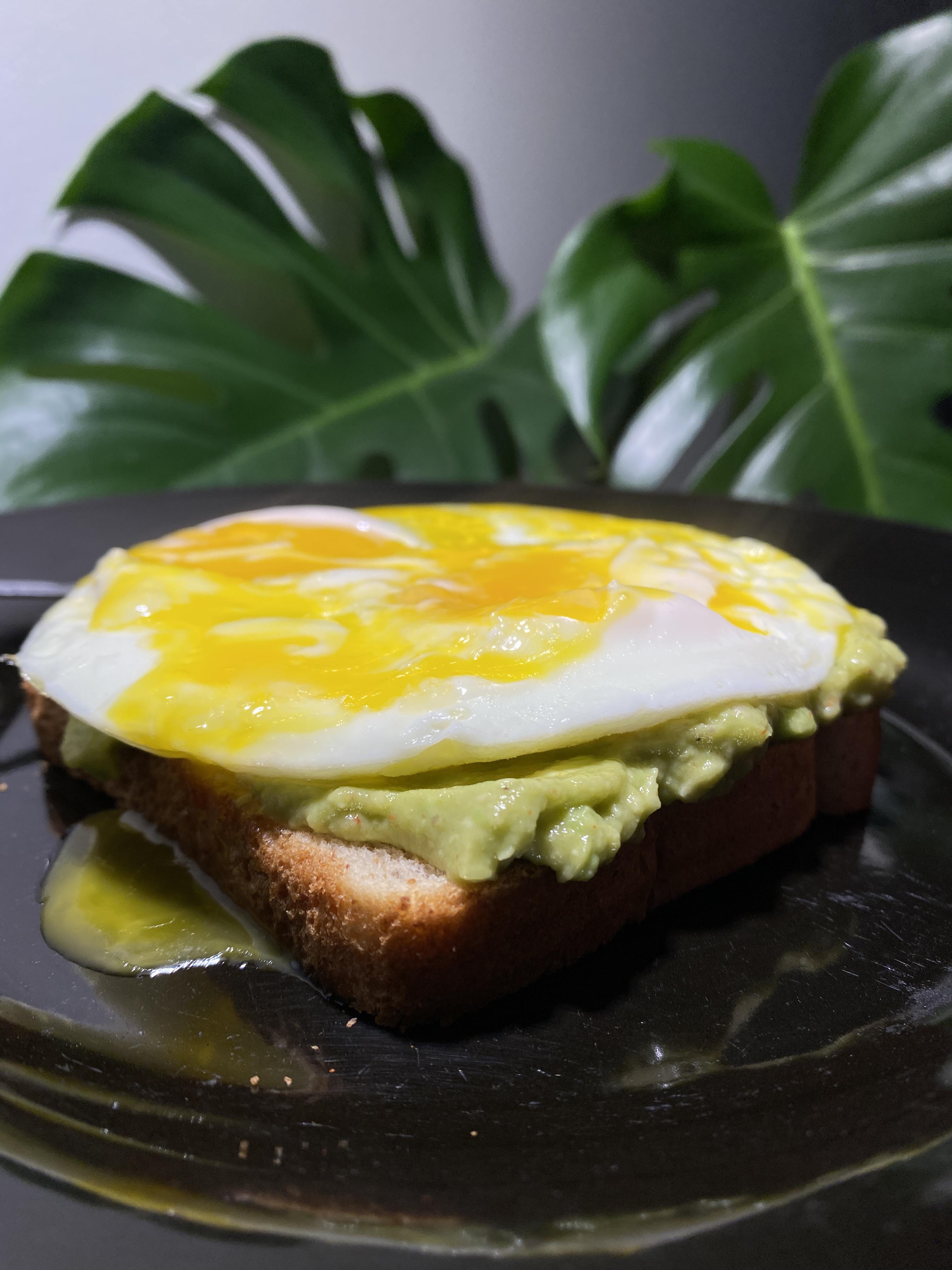 Avocado/egg toast | Scrolller