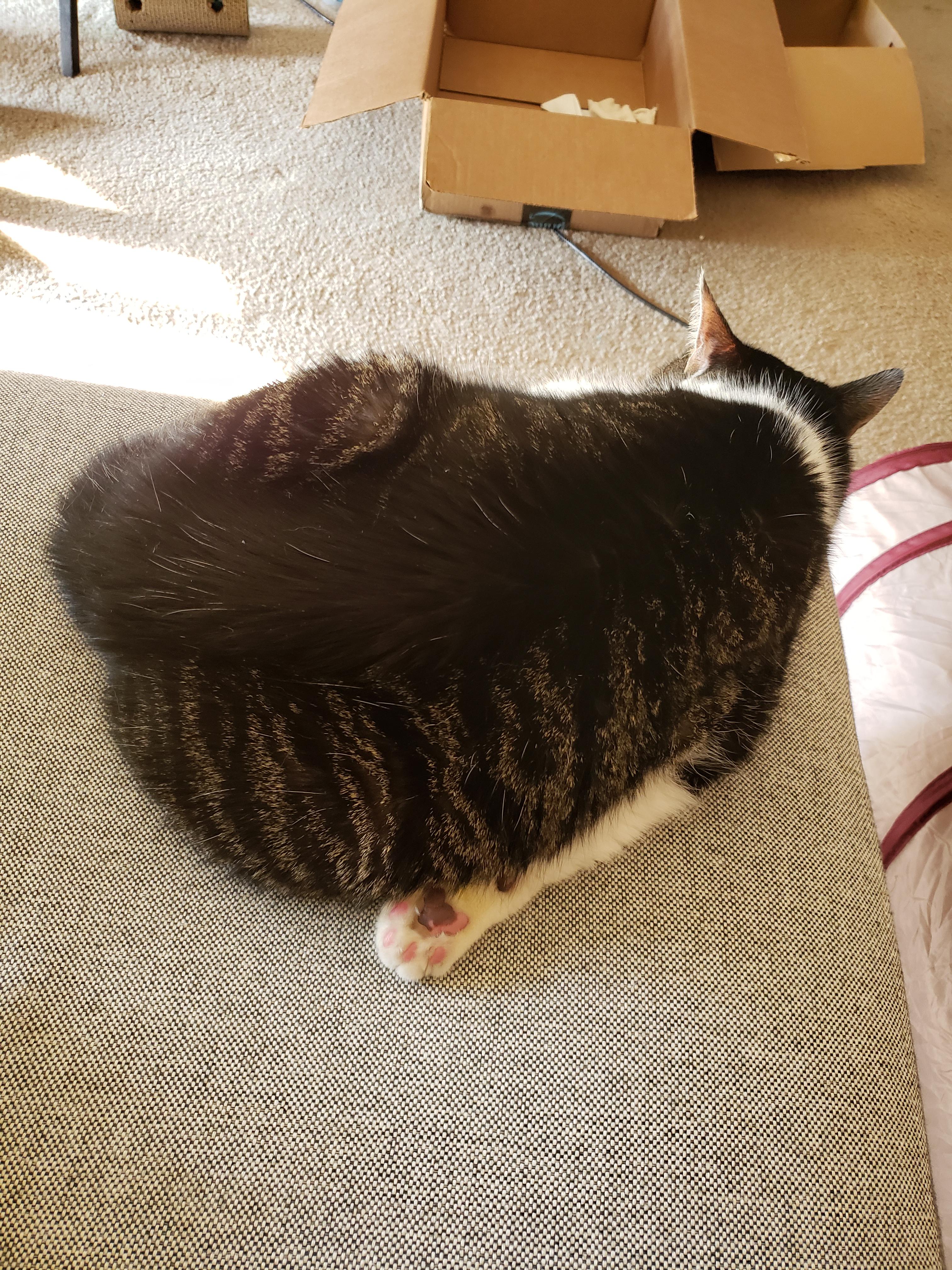 Awkward beans | Scrolller