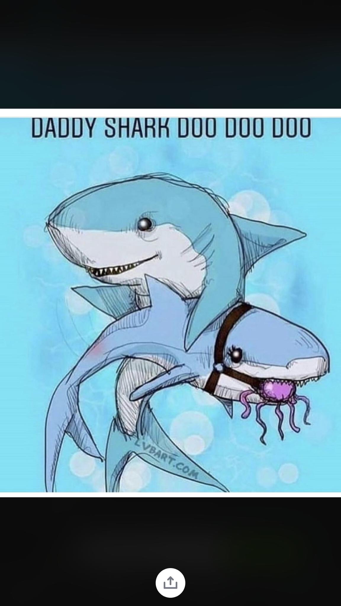 Baaaybeee Shark | Scrolller