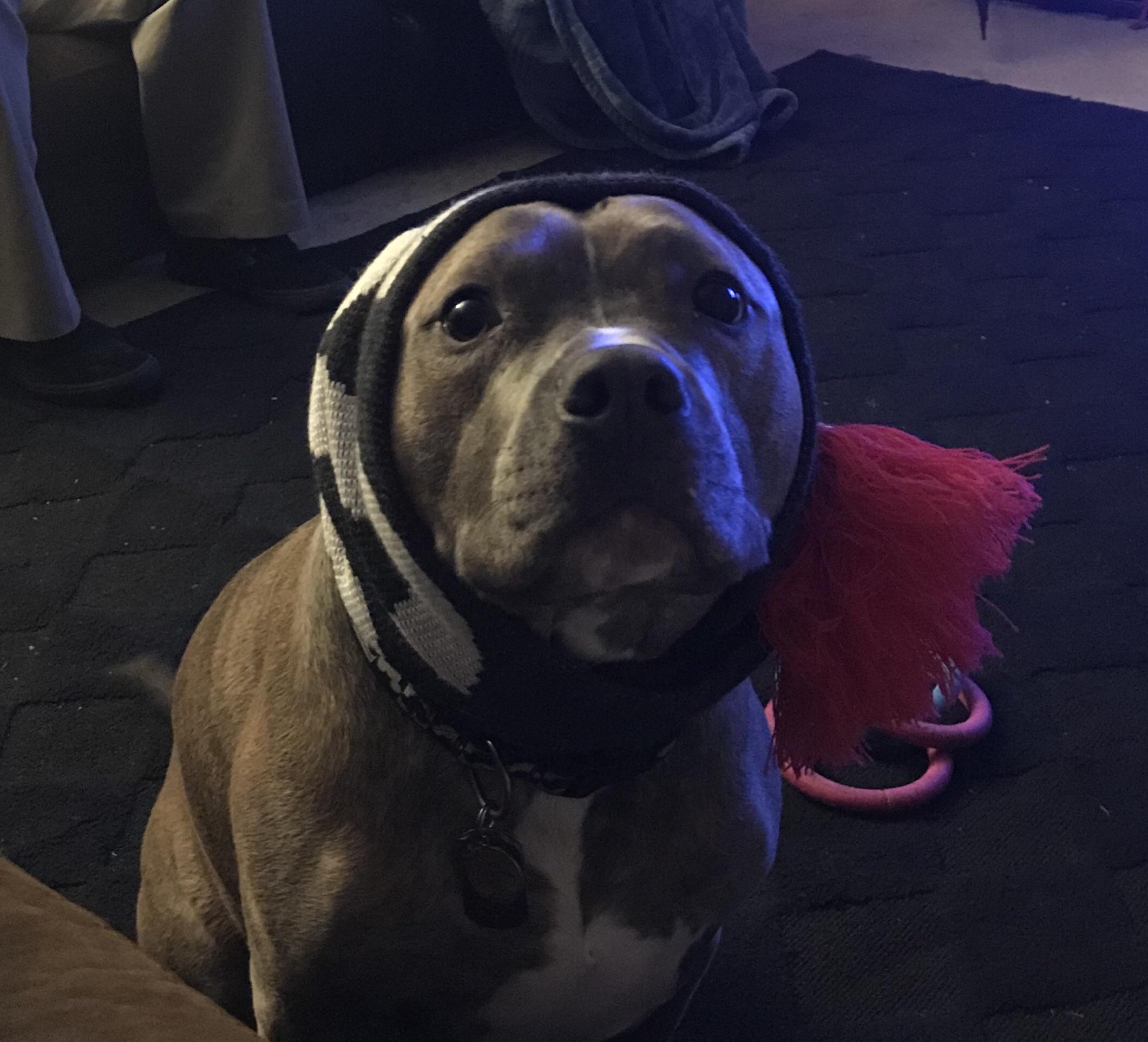 Babushka | Scrolller