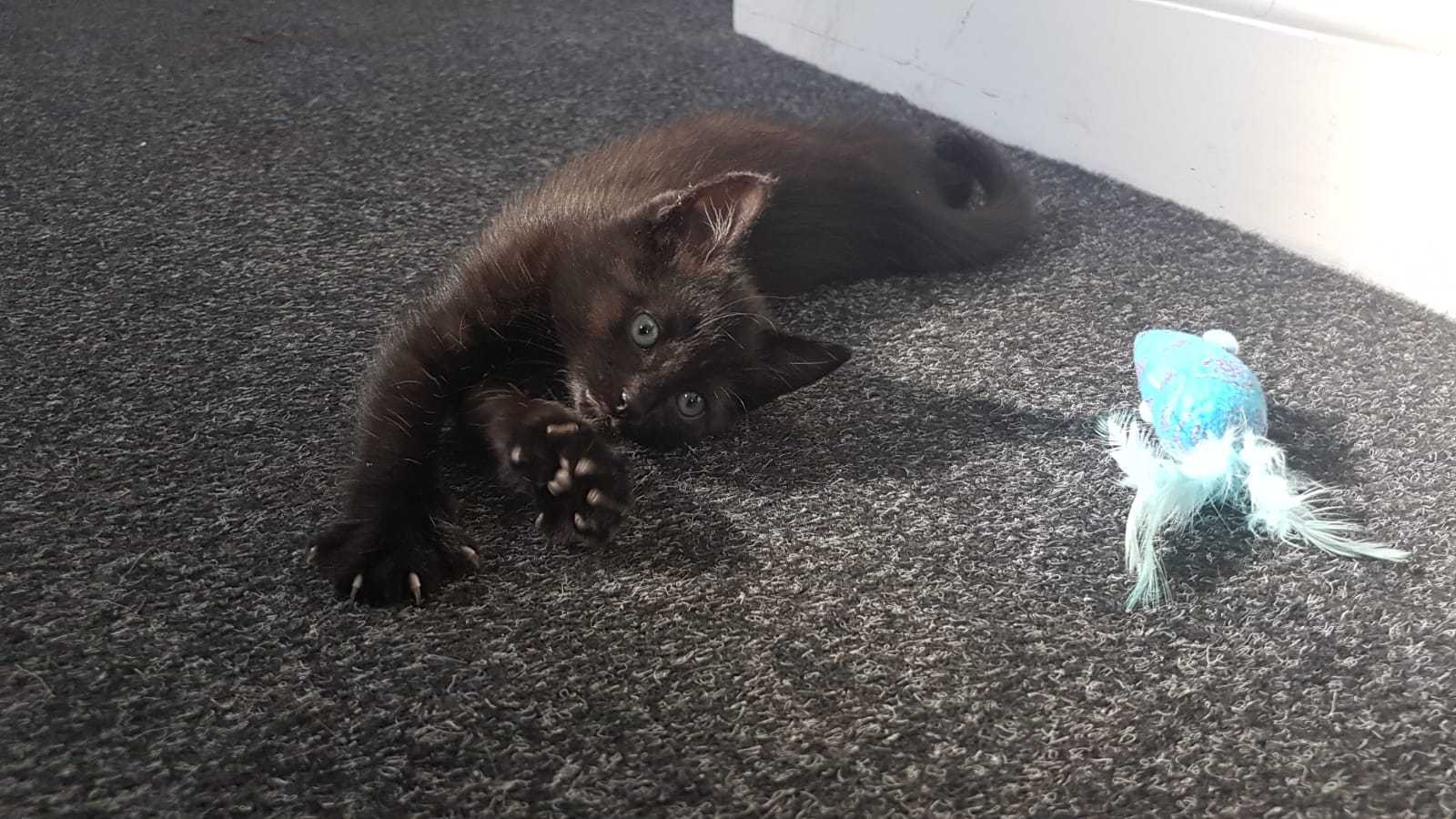 Baby beans | Scrolller