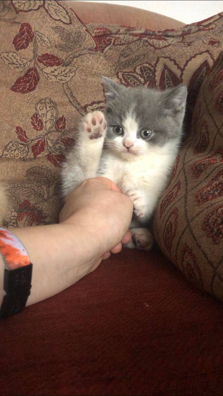 Baby Beans | Scrolller