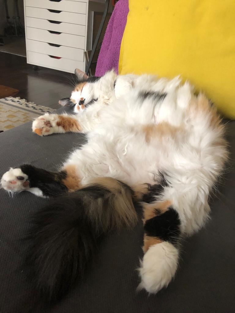 Baby In Repose | Scrolller