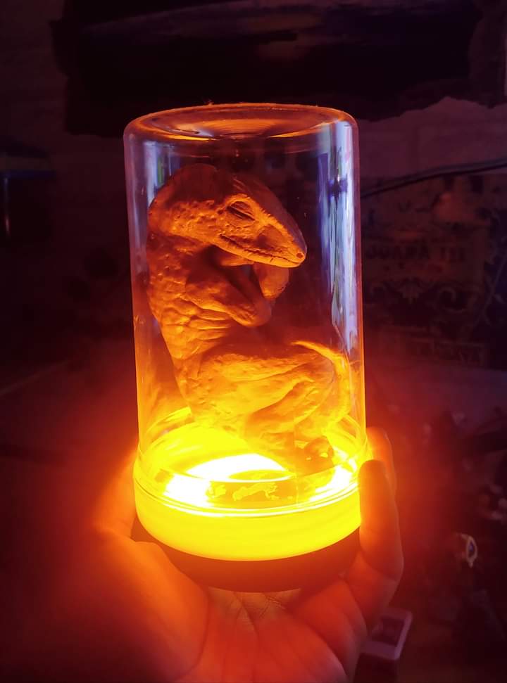 Baby raptor | Scrolller