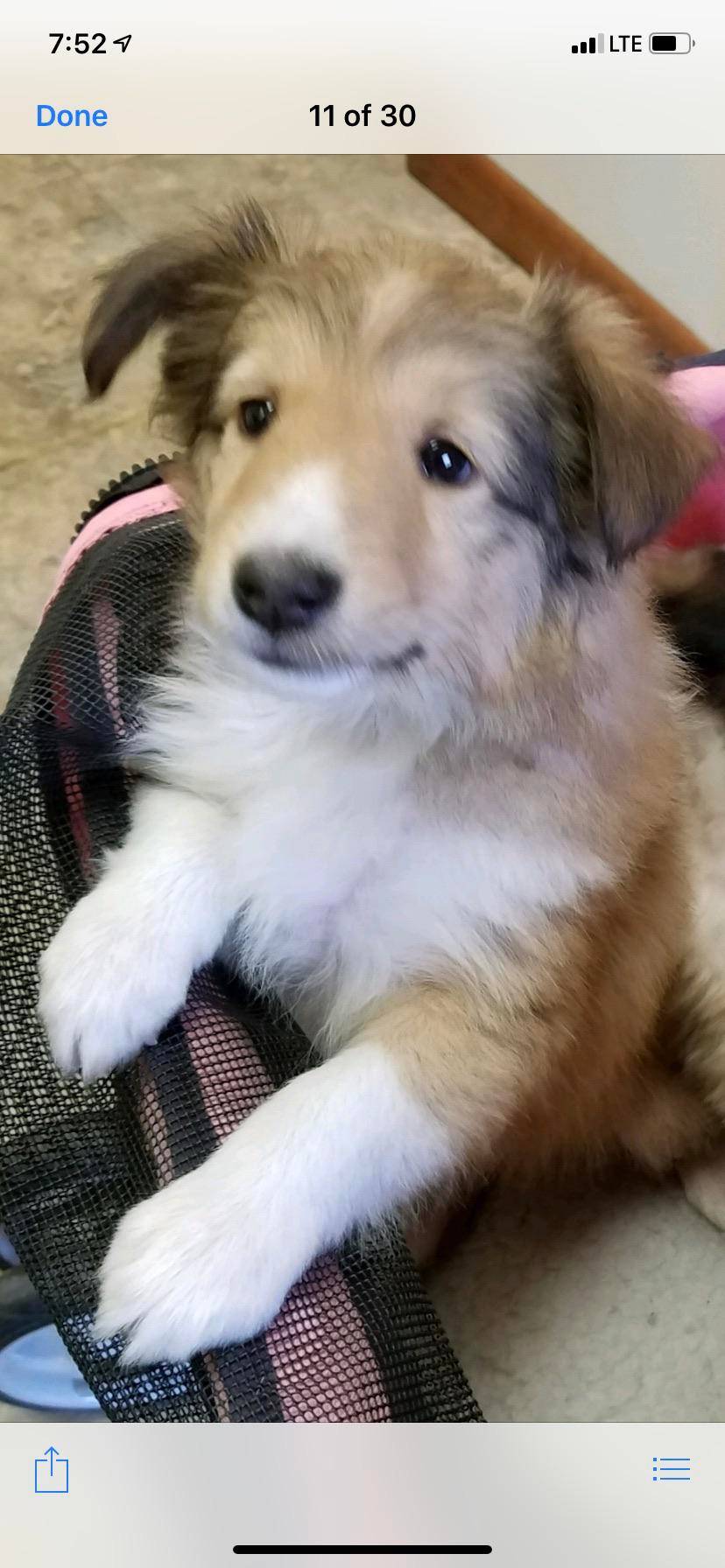 Baby Sully | Scrolller