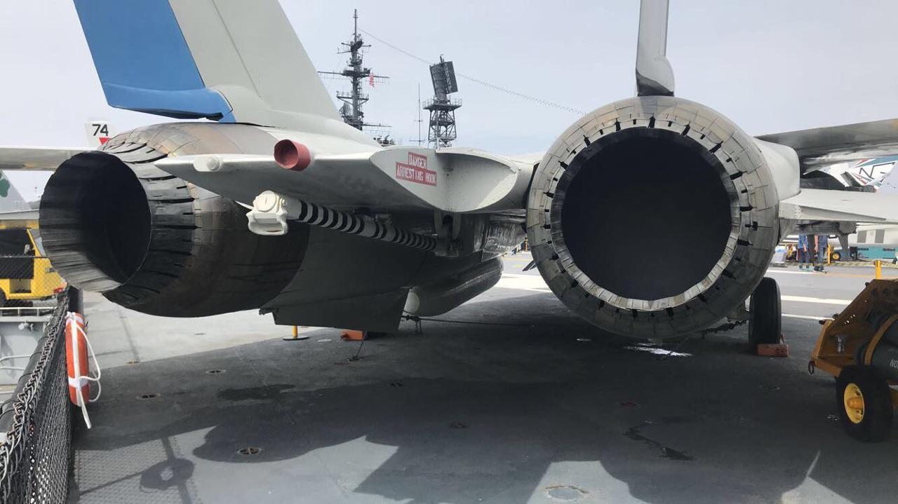 Back end of a naughty Tomcat! | Scrolller