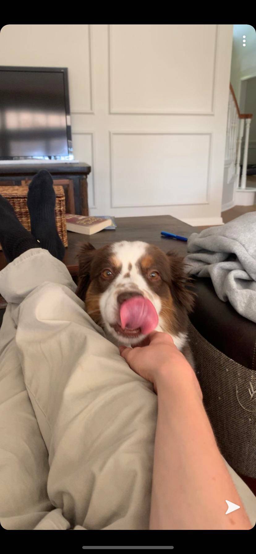 Back home from school mlem | Scrolller