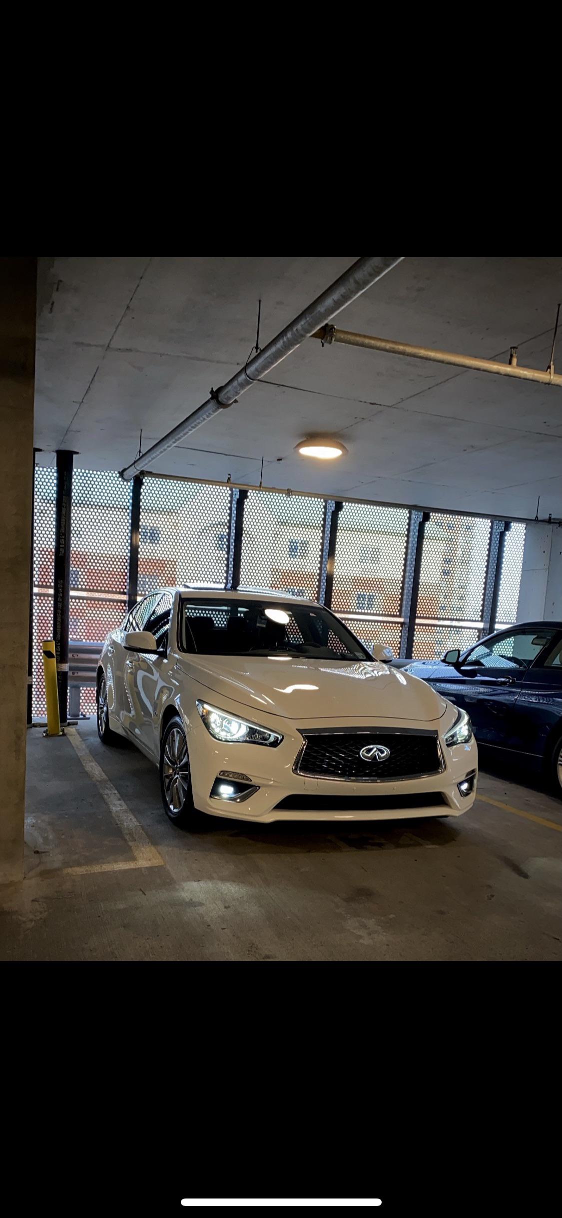 Back in action | Scrolller