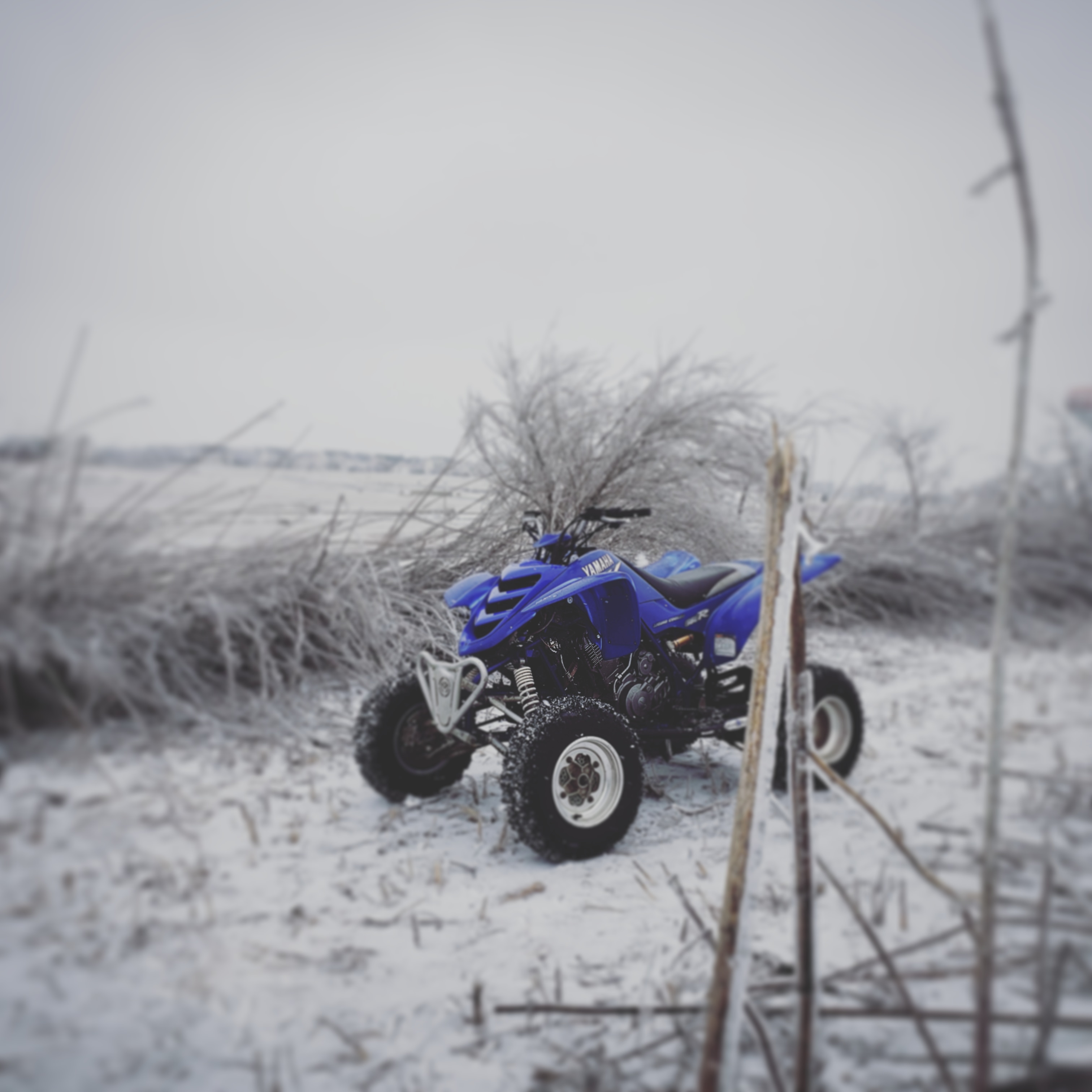 Back in the ATV game 15 years later | Scrolller