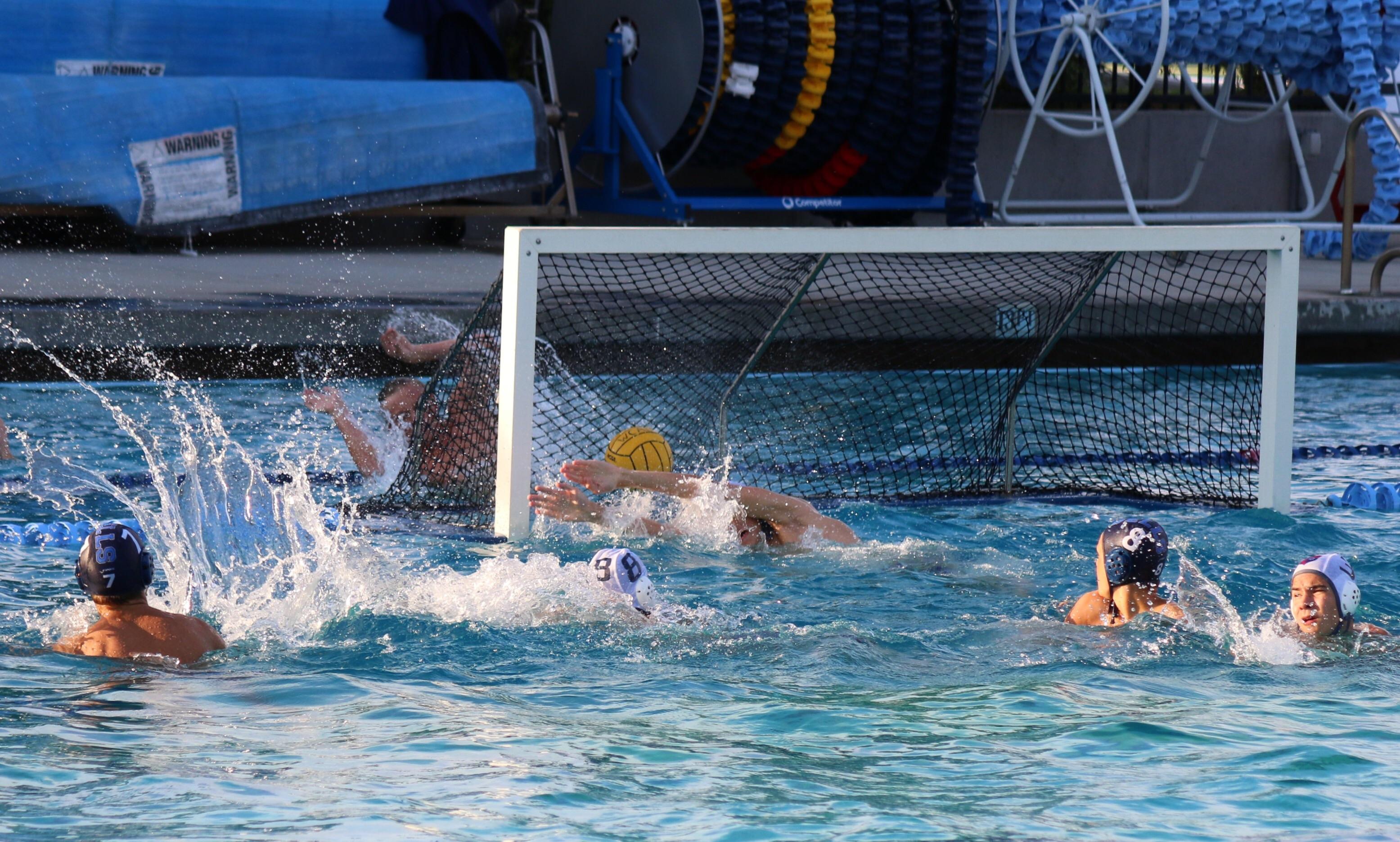 Backup Goalie Tip: During games shadow the goalie from behind the cage | Scrolller