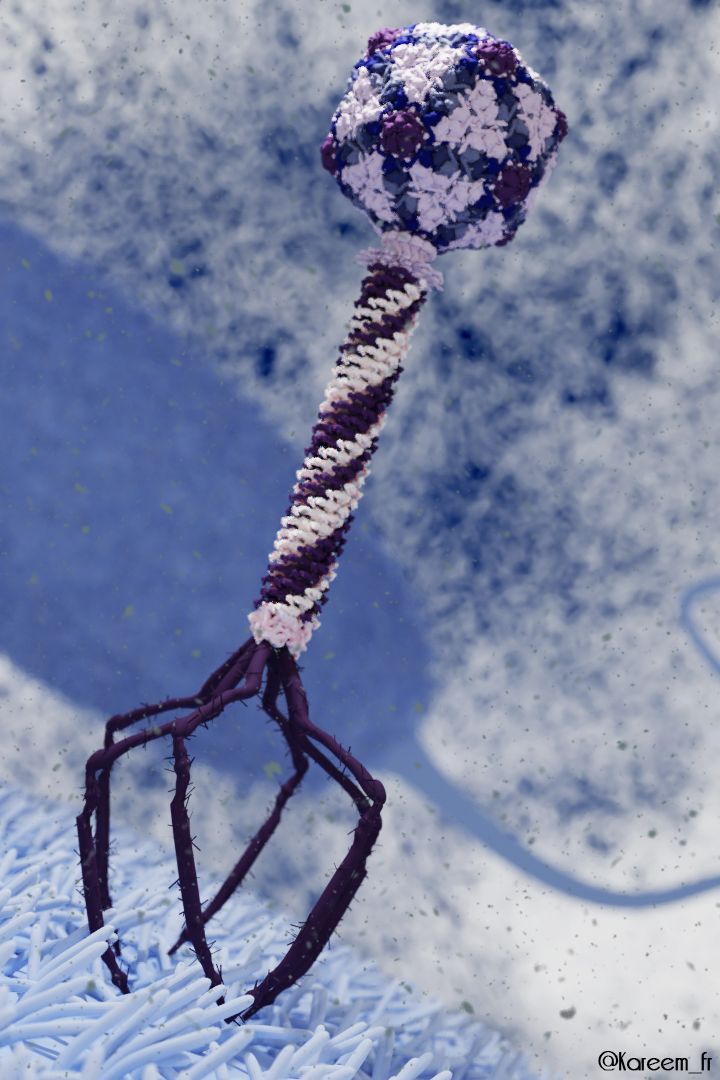 Bacteriophage, Me, 3D design, 2021 | Scrolller