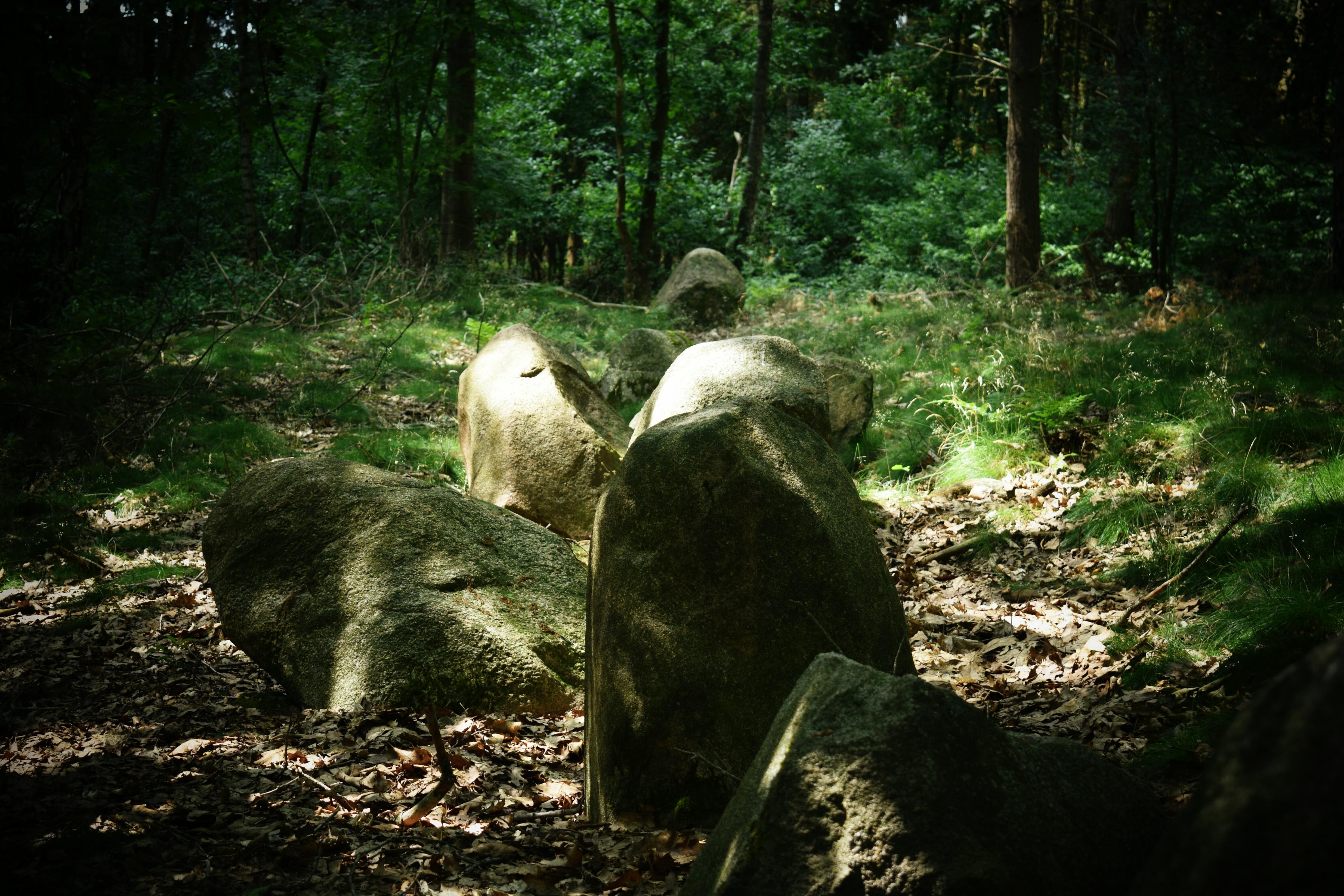 'Bakler Berg' germany, Sprockhoff 933, destroyed grave [OC] [4700x3100] | Scrolller