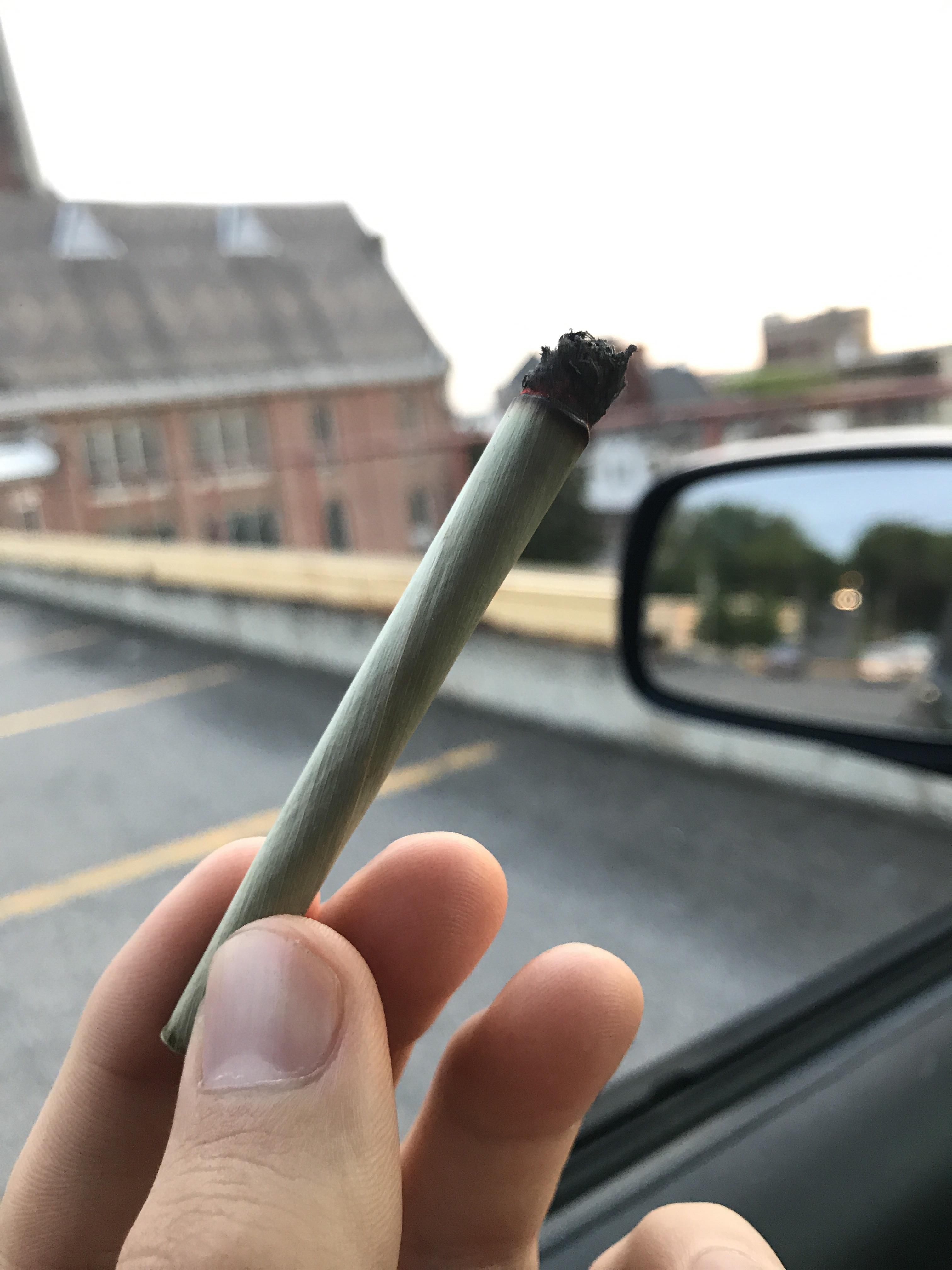 Banana leaf blunt on this fine day | Scrolller