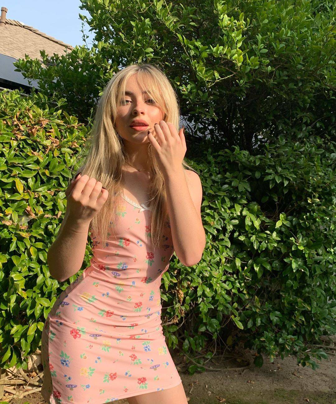 Bang bang | Scrolller