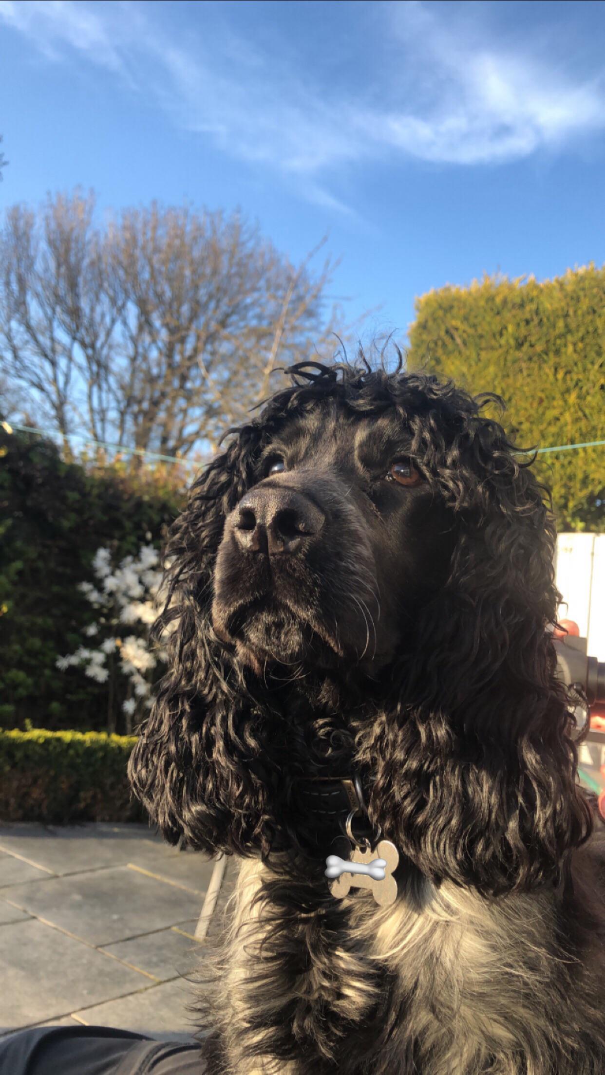 Barney - Striking a Pose | Scrolller