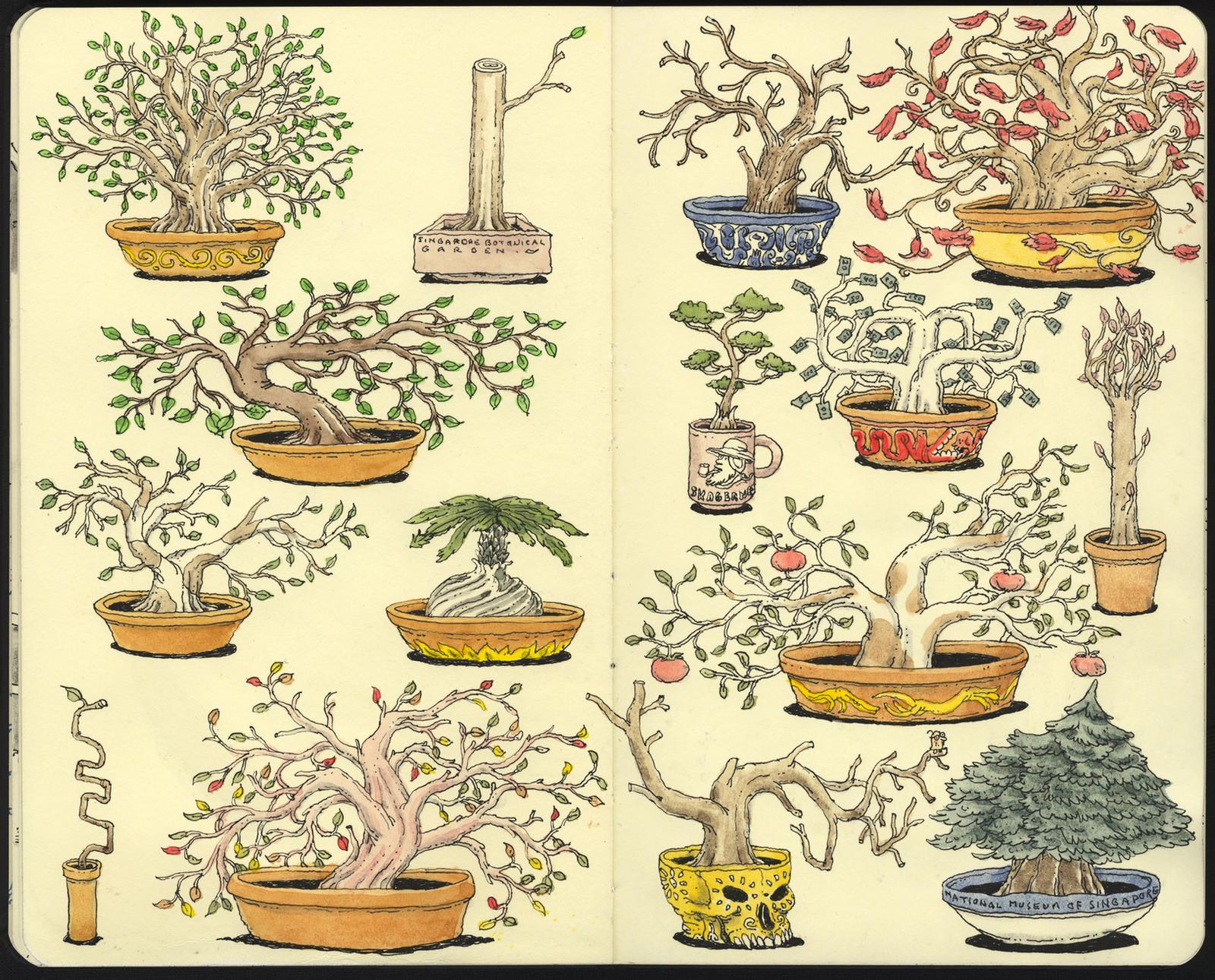 Basic Bonsai by Mattias Adolfsson | Scrolller
