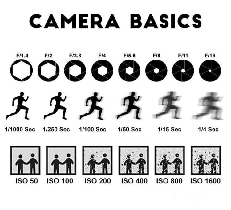 basic camera tips | Scrolller