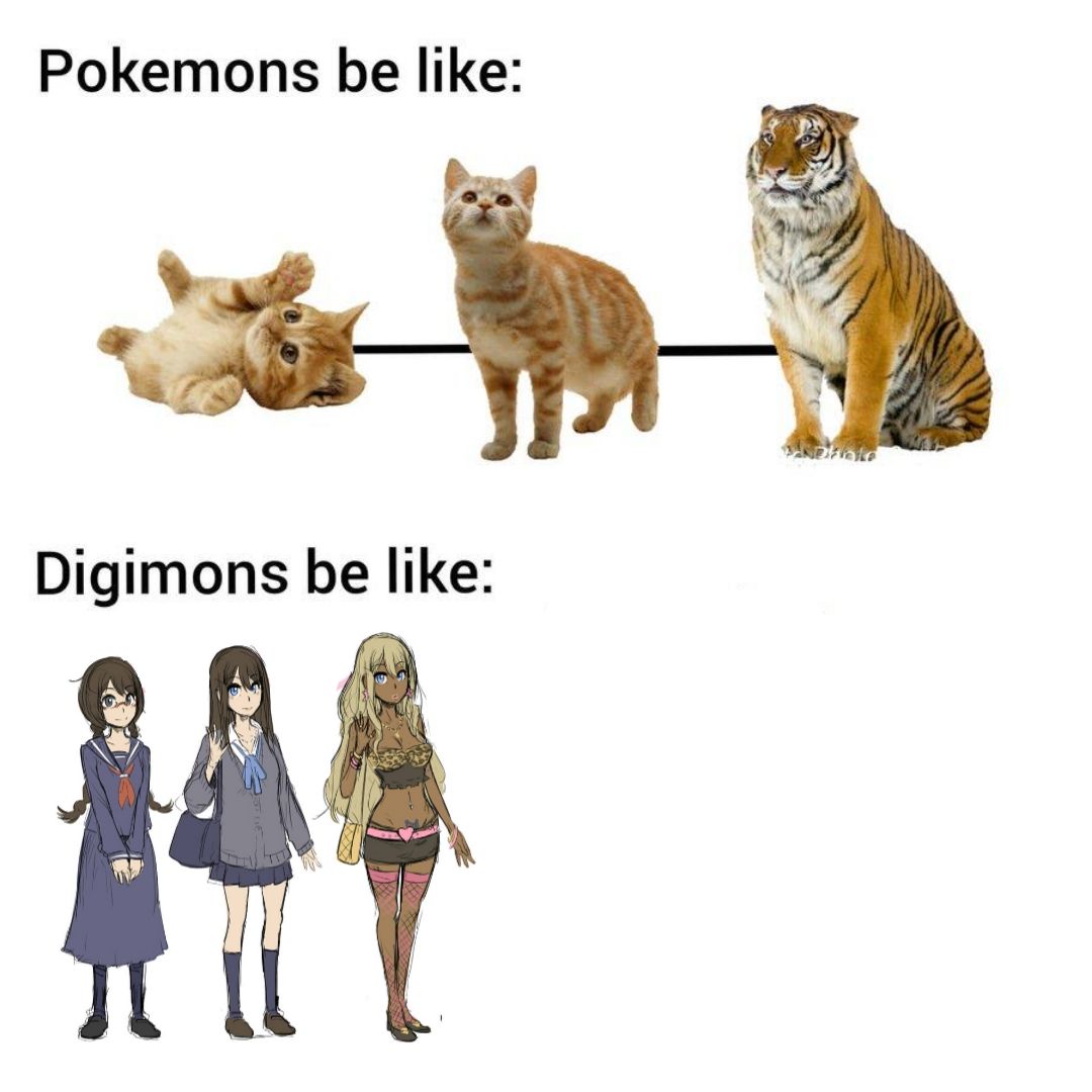 Basically is so | Scrolller