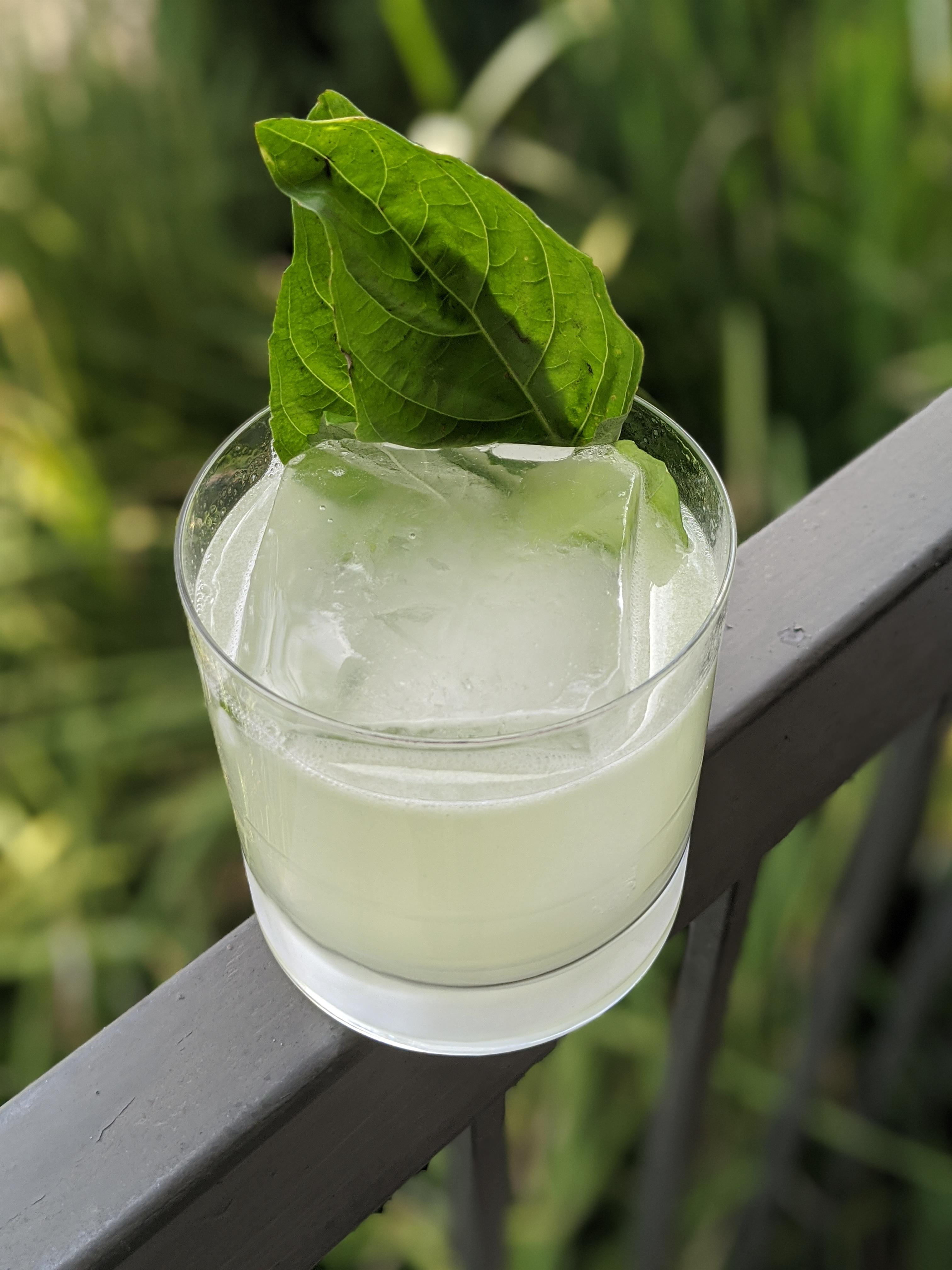 Basil Gin Smash | Scrolller