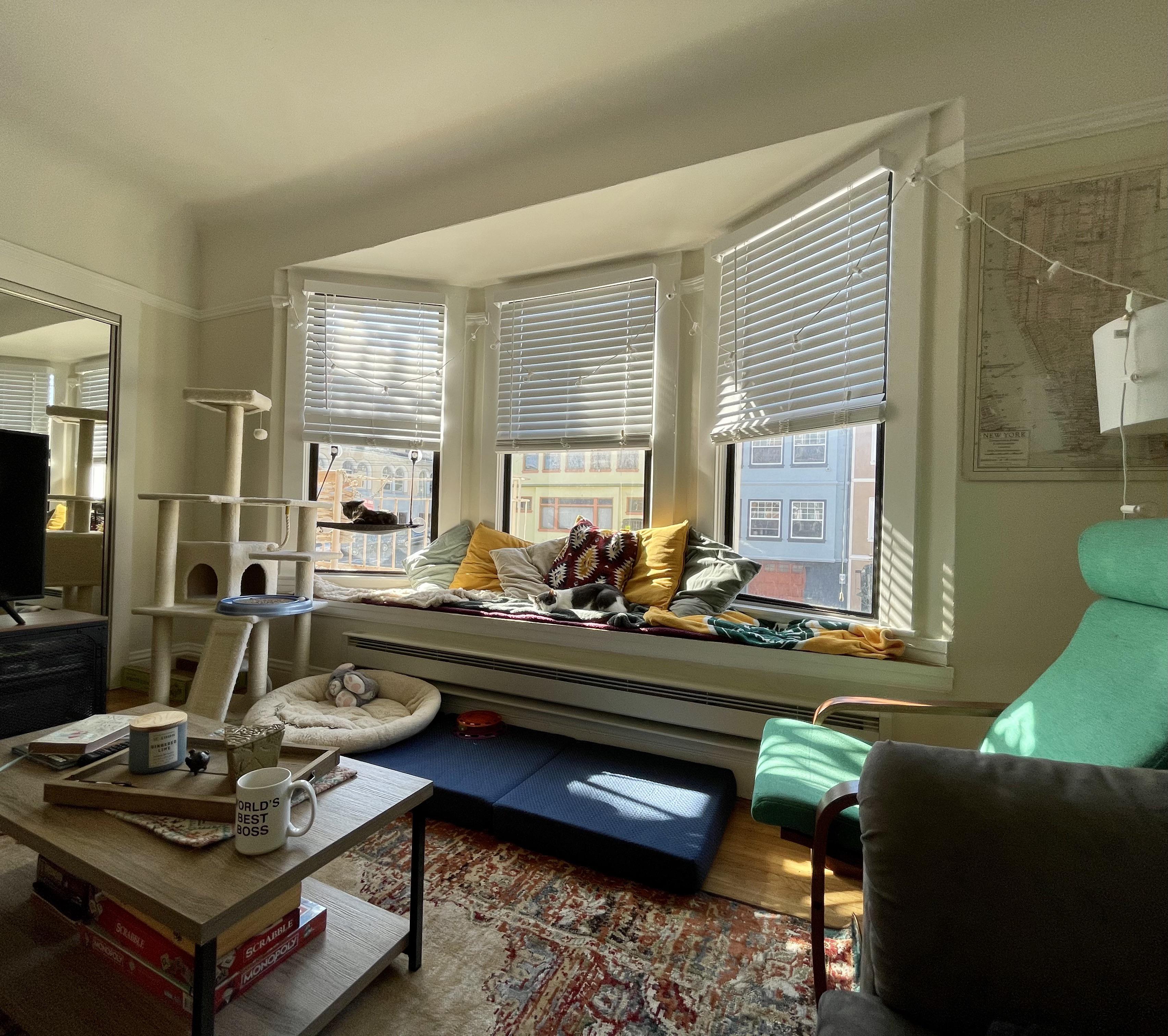 Basking in the sunshine on the bay windows | Scrolller